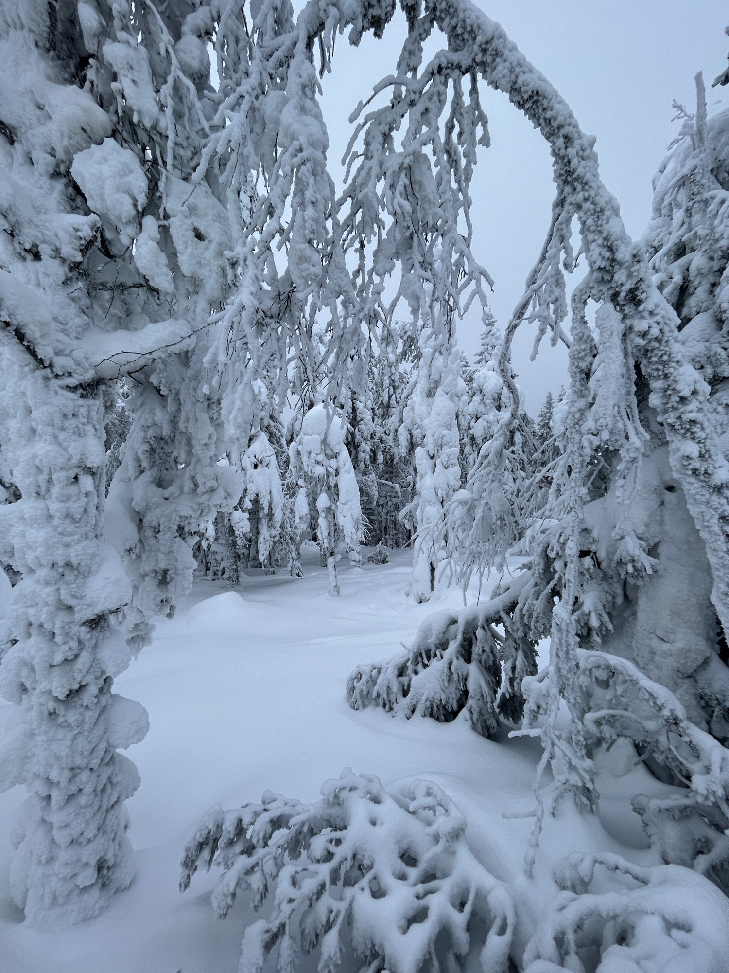 More from Dalarna, Sweden | Scrolller