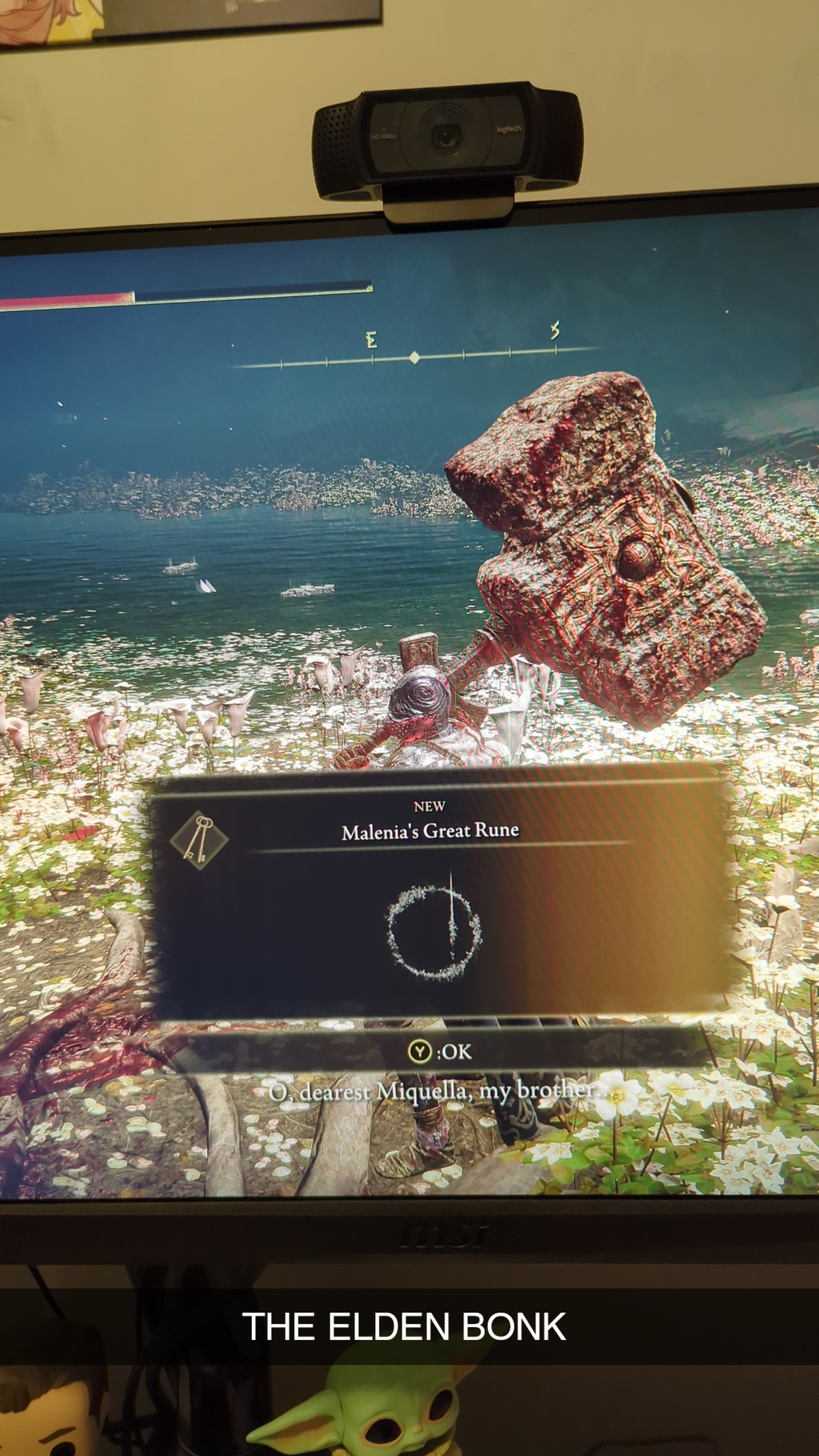 35 tries later and I finally got the final bonk | Scrolller