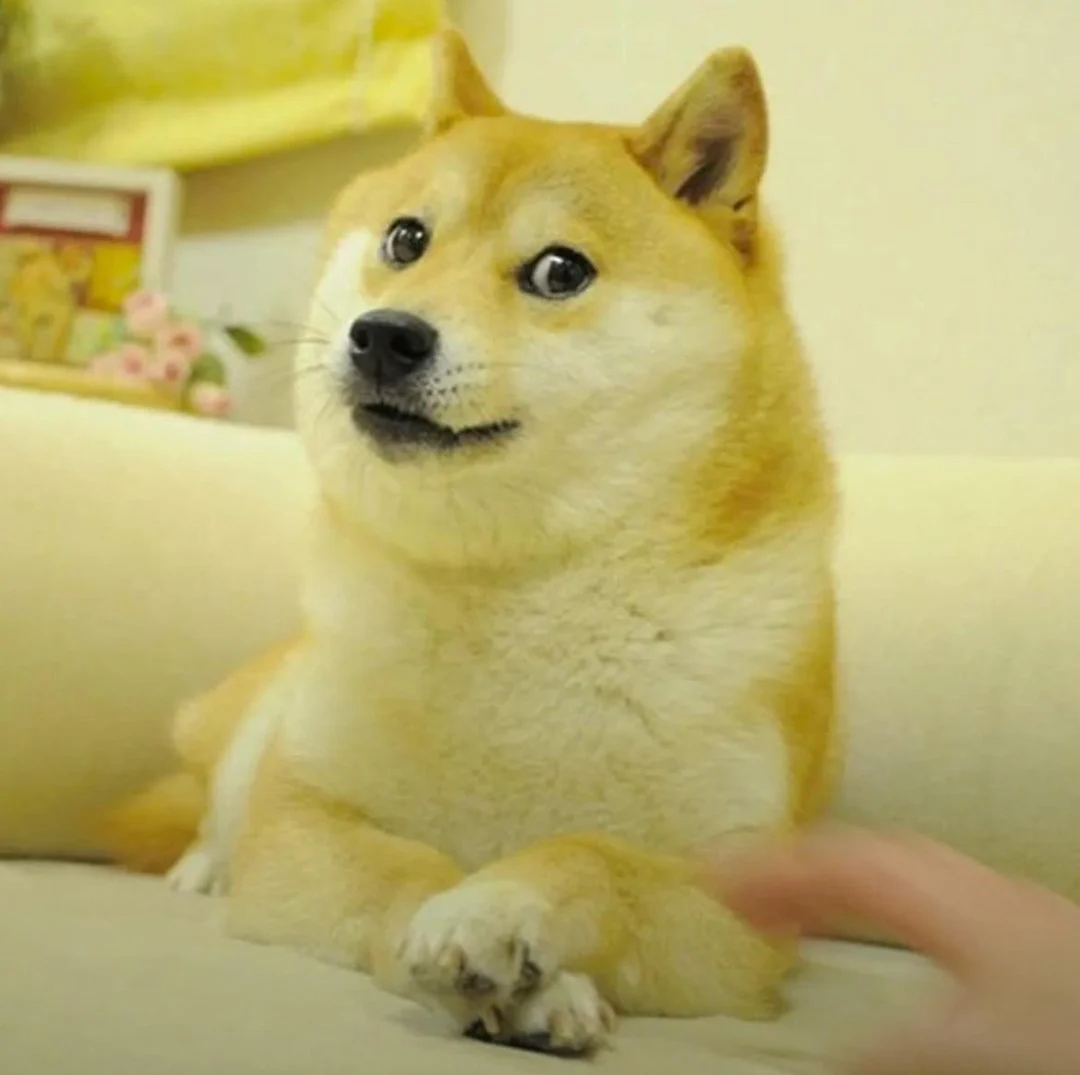 RIP Doge :( | Scrolller