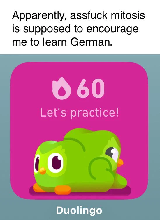 Duolingo’s iOS widget is a little unusual. | Scrolller