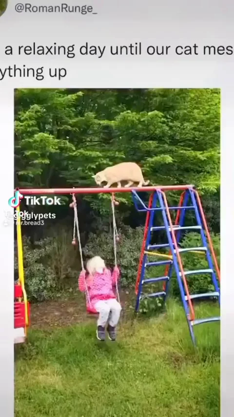 Cat makes child do backflip | Scrolller