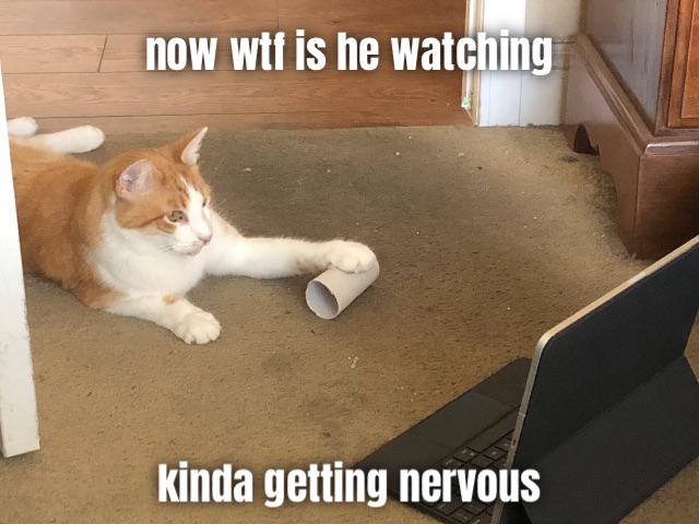 Japanese tutorial? | Scrolller