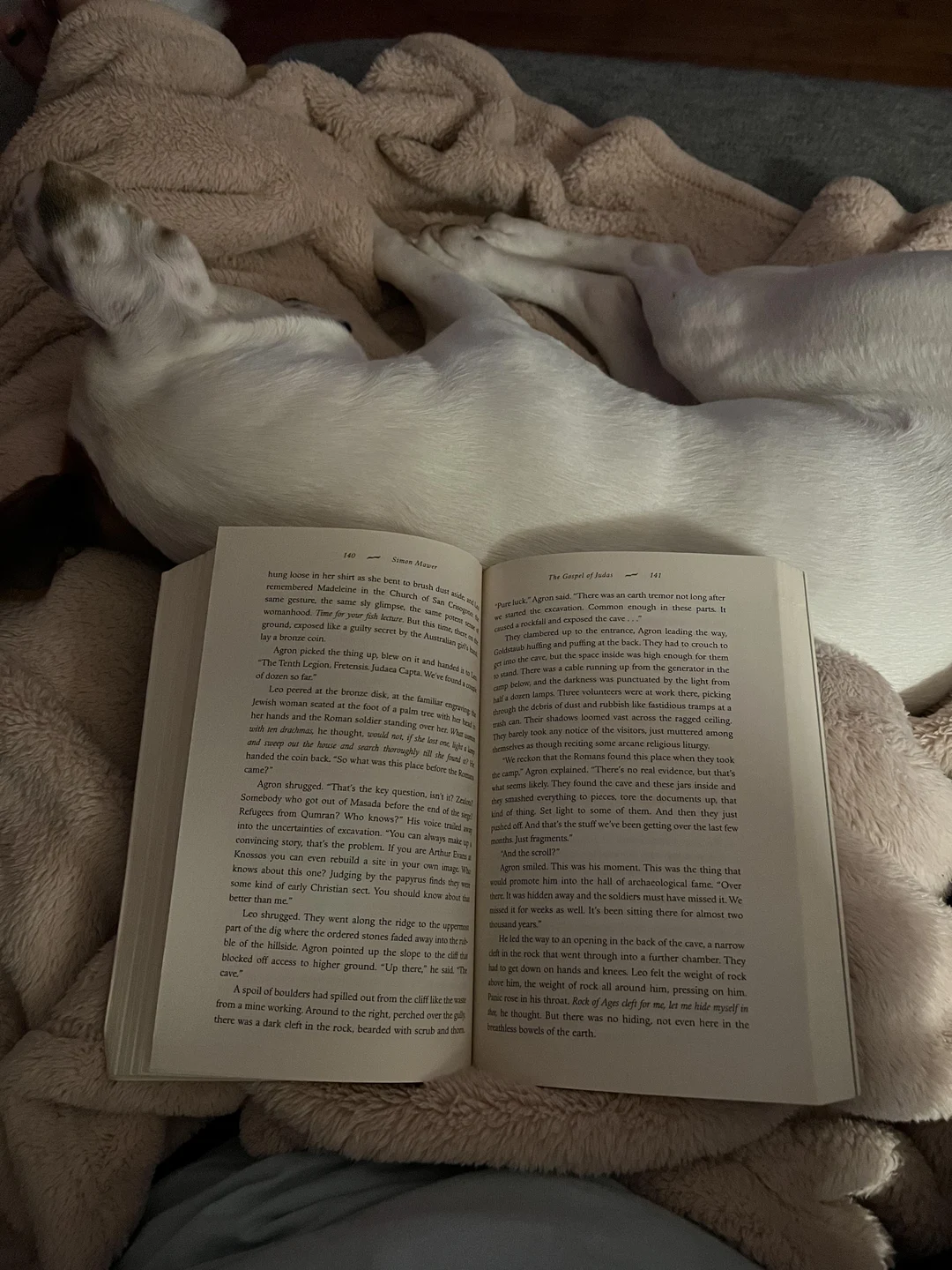 My reading buddy | Scrolller