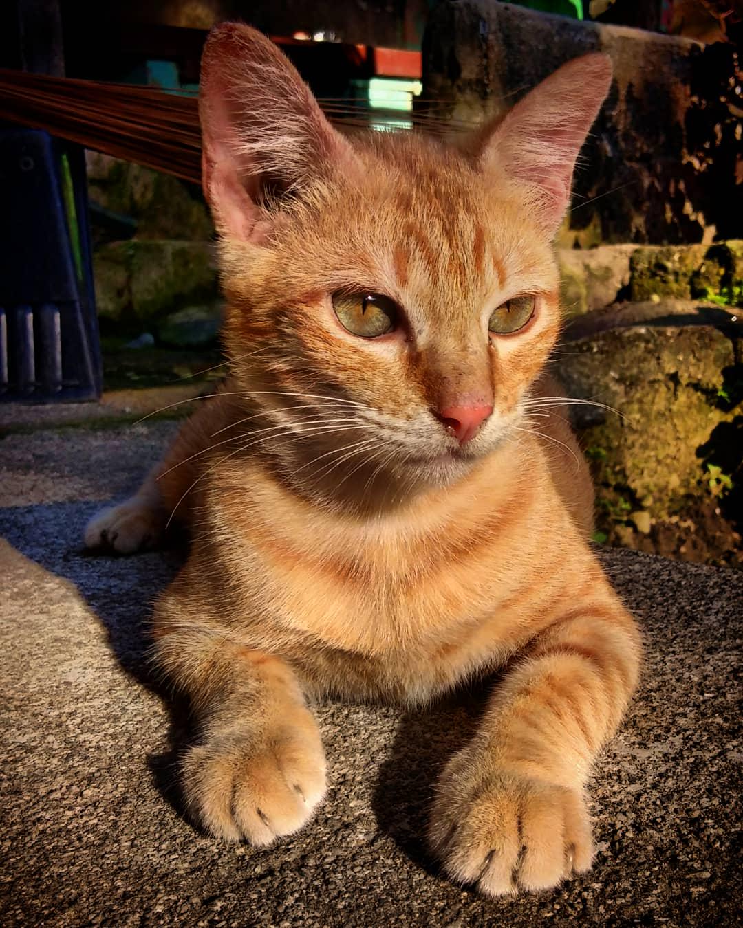 Contemplating Life. | Scrolller