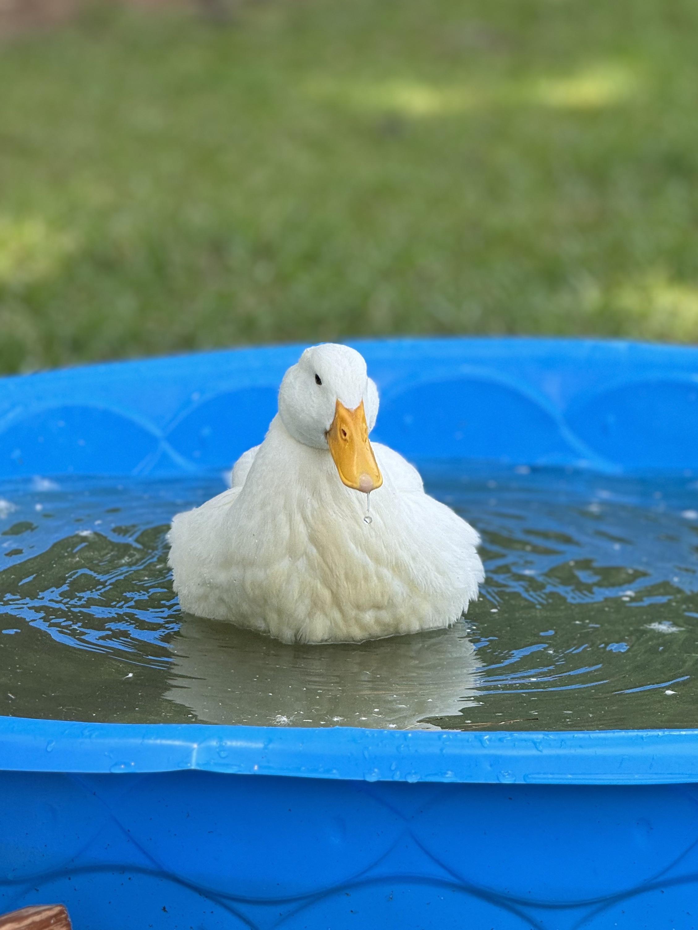 THEY GROW TOO FAST | Scrolller