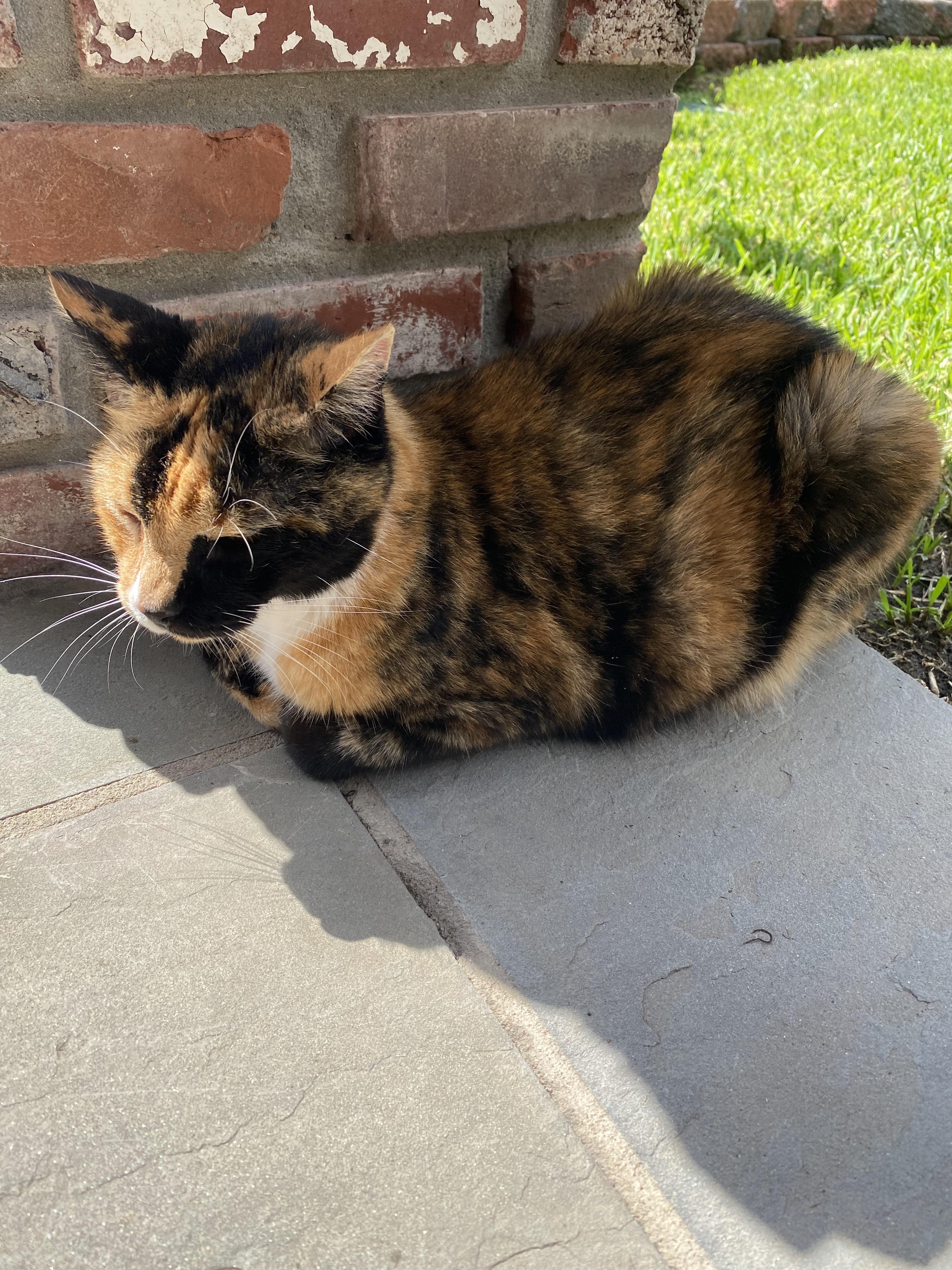 15 year old loaf | Scrolller