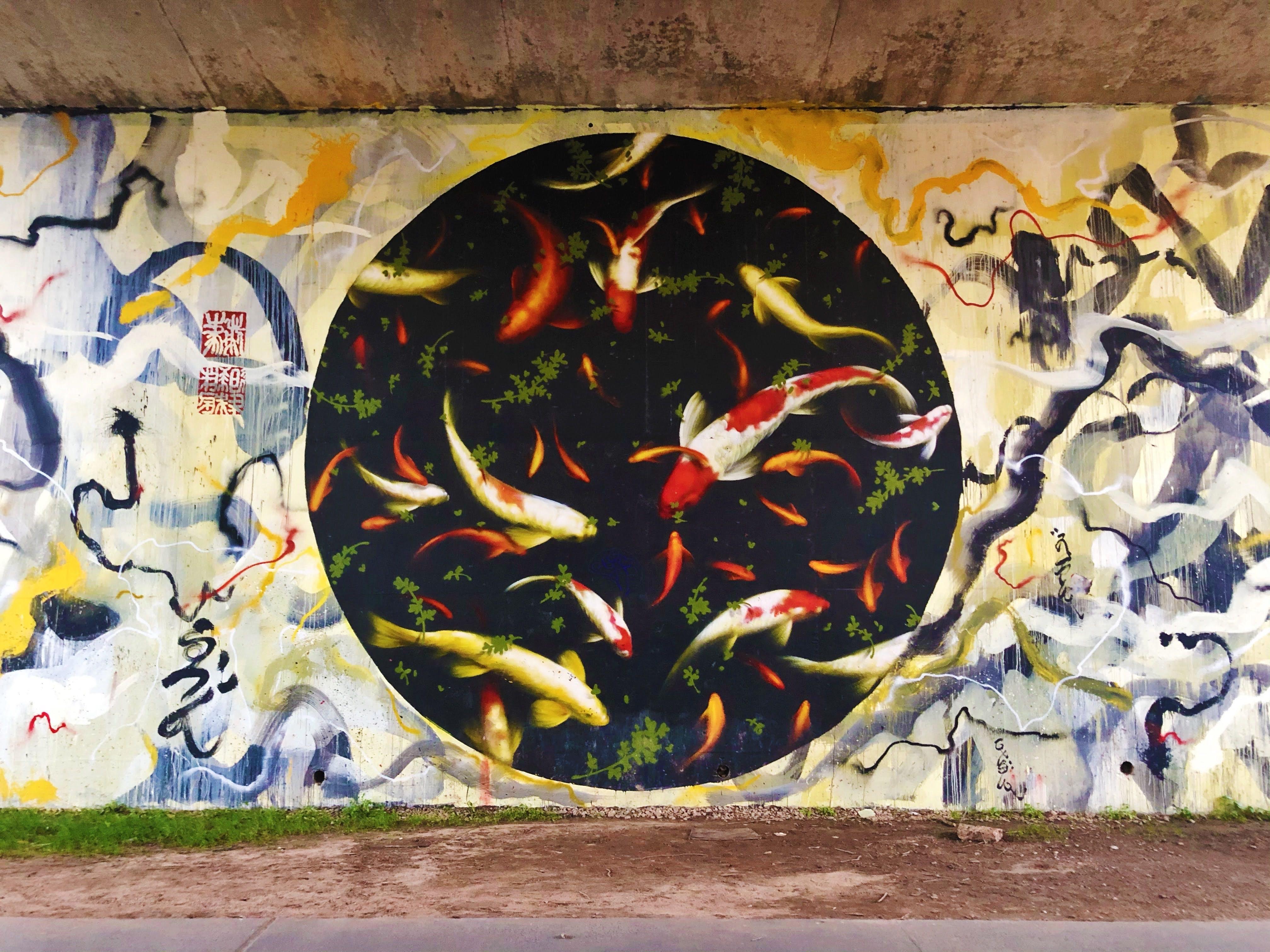 Different cities, different art 🌹 | Scrolller