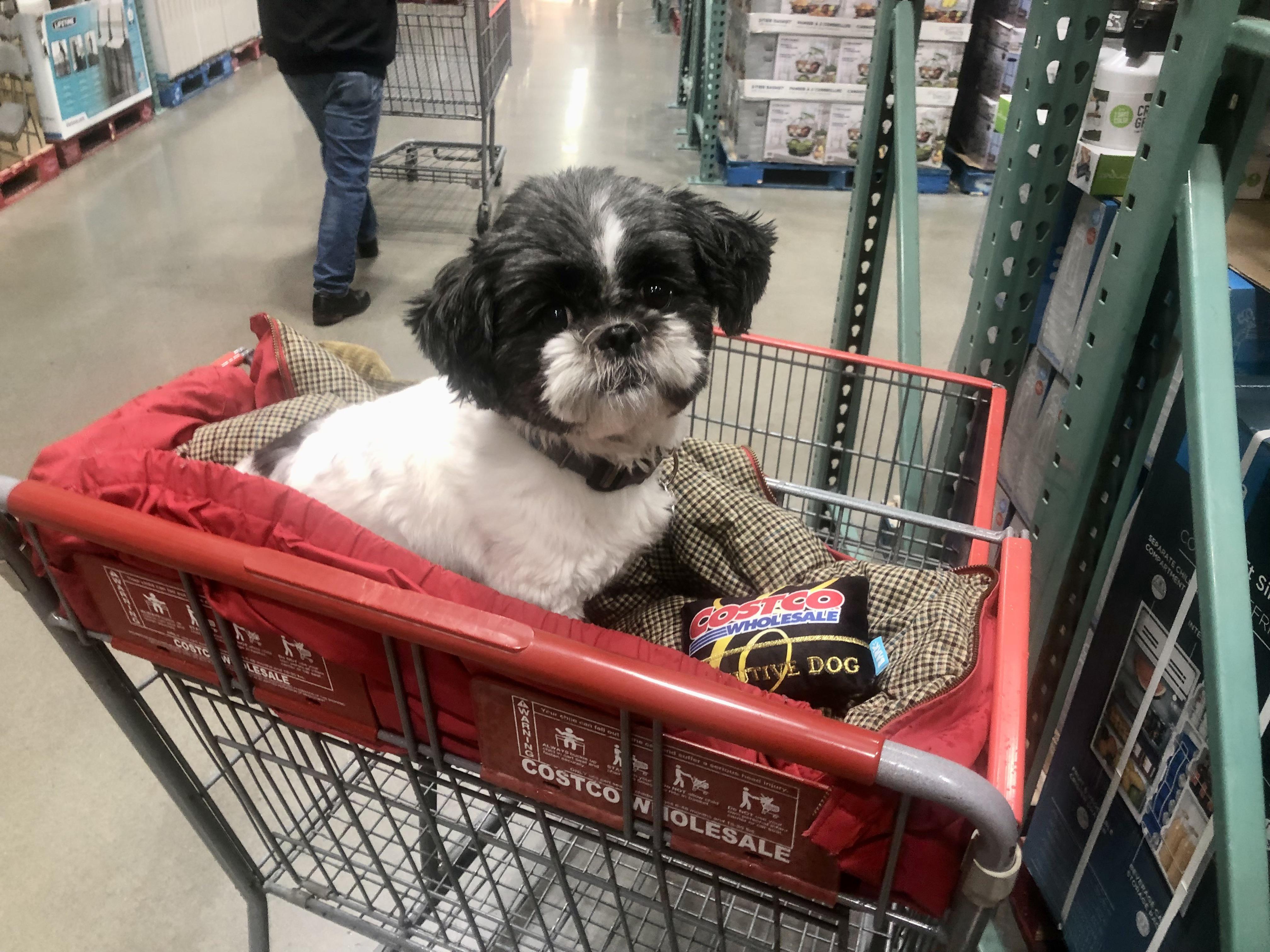 Running Errands | Scrolller