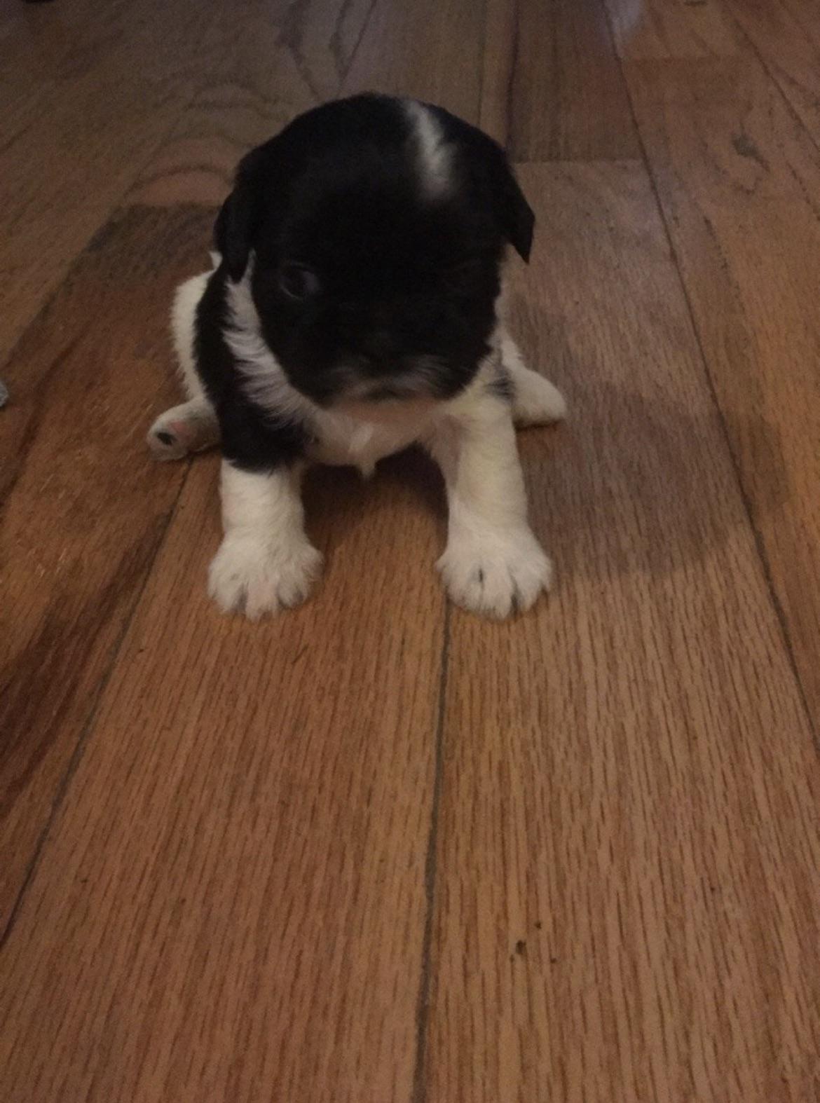 My baby as a baby. 🥺 time sure flies. | Scrolller