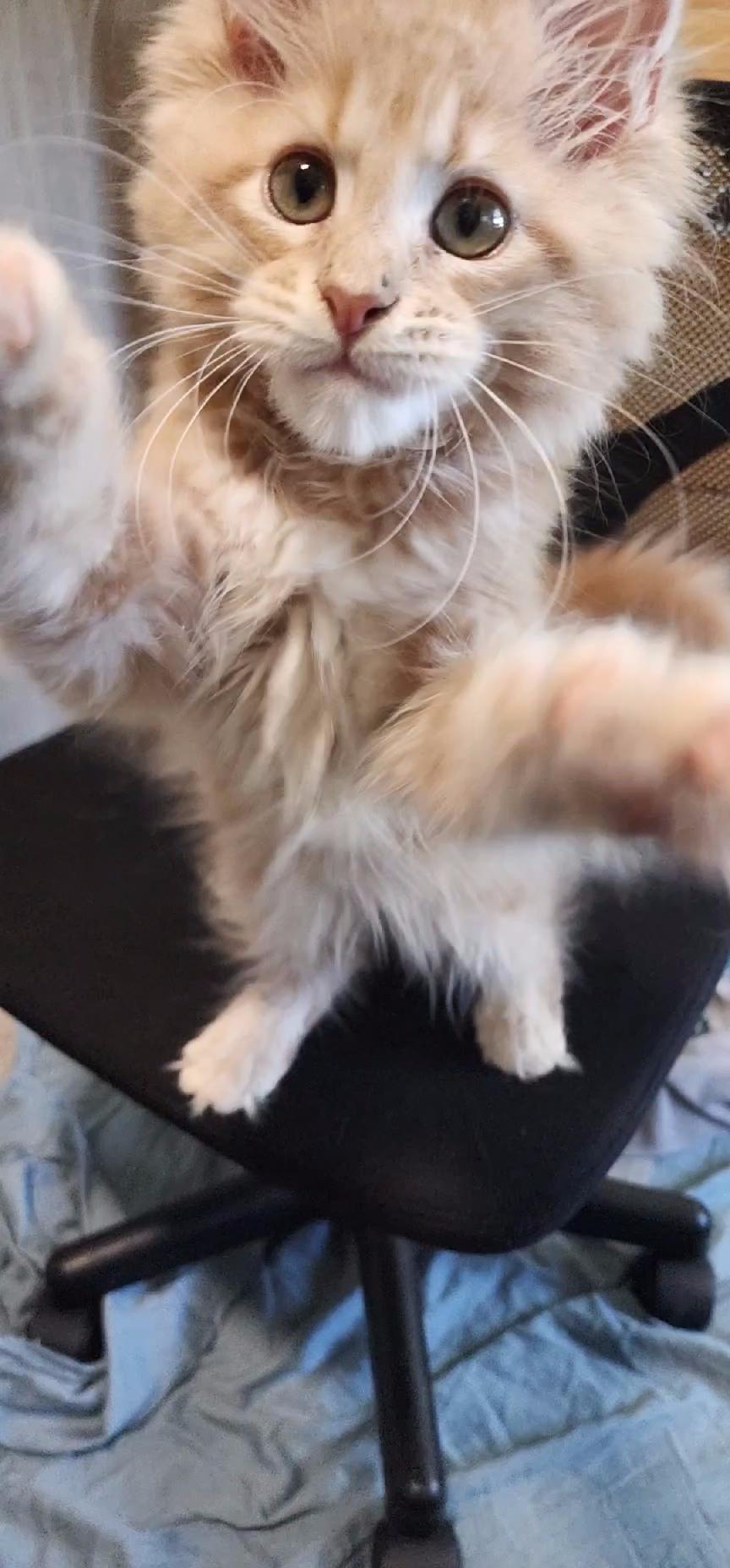 More Rama 🥰 | Scrolller