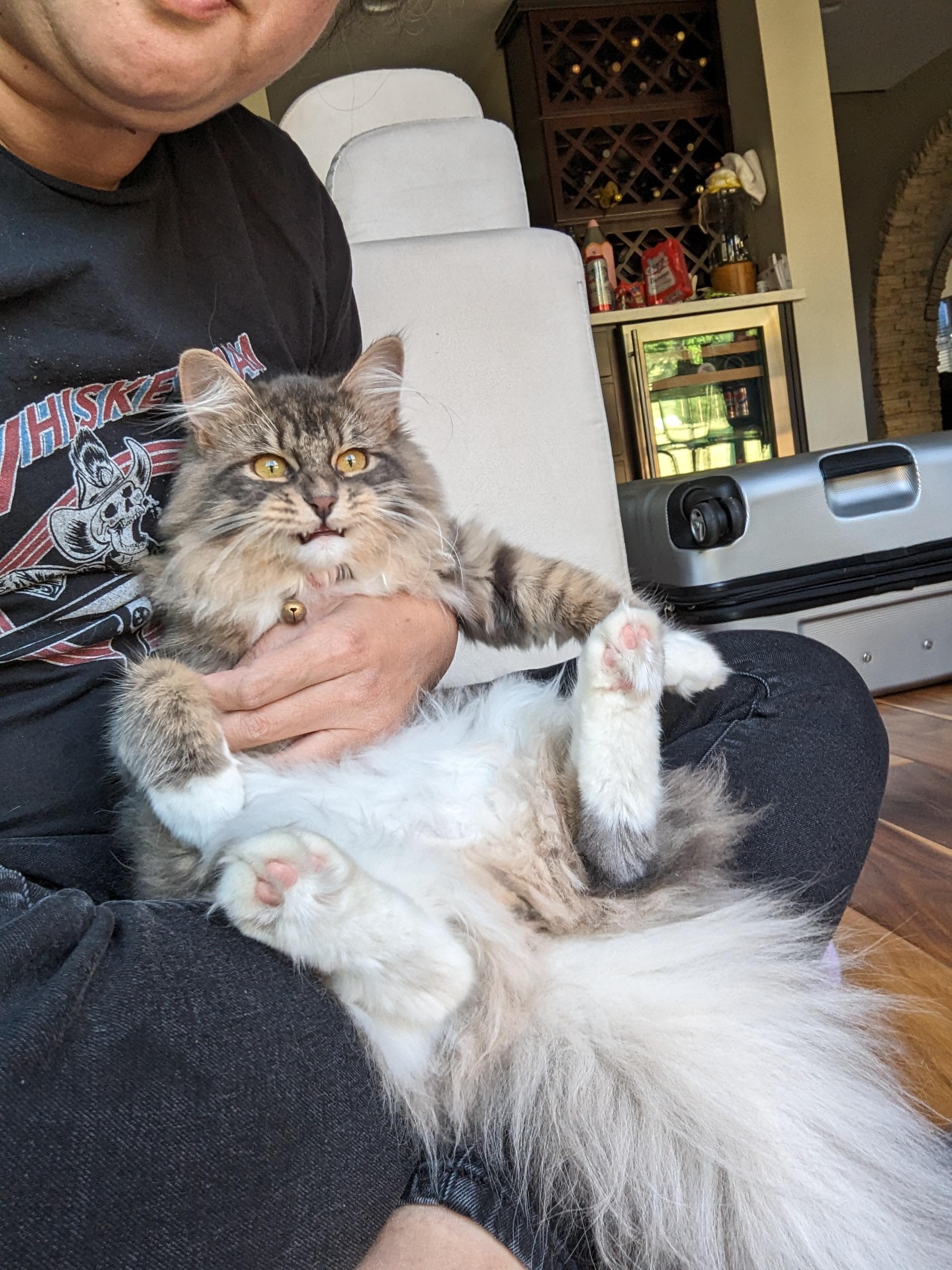 How to redirect scratching? | Scrolller