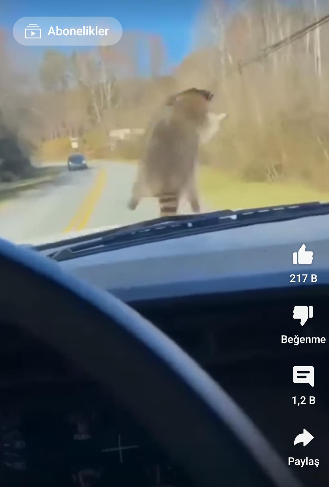 Second slide for context | Scrolller