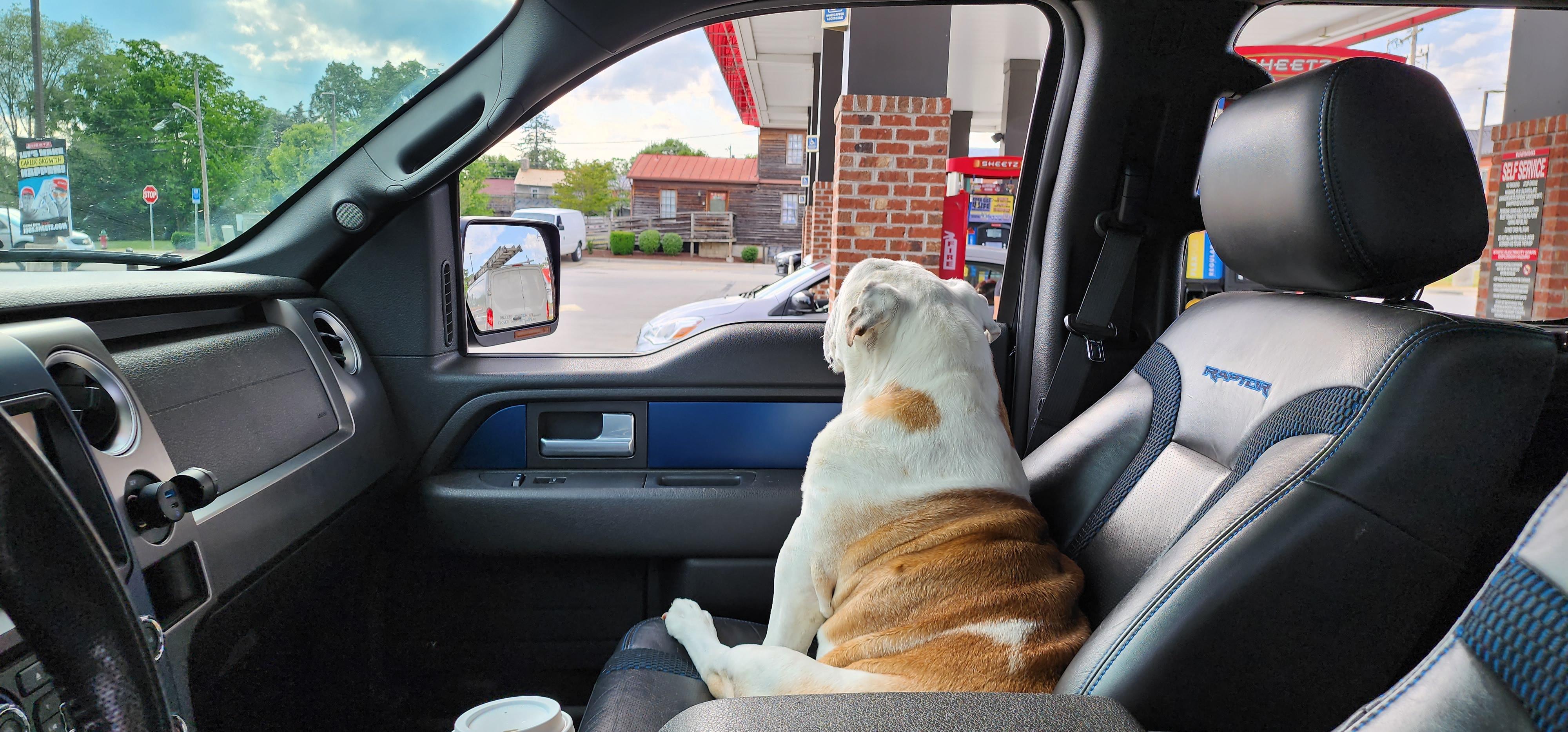 I miss his company during project site visits. | Scrolller