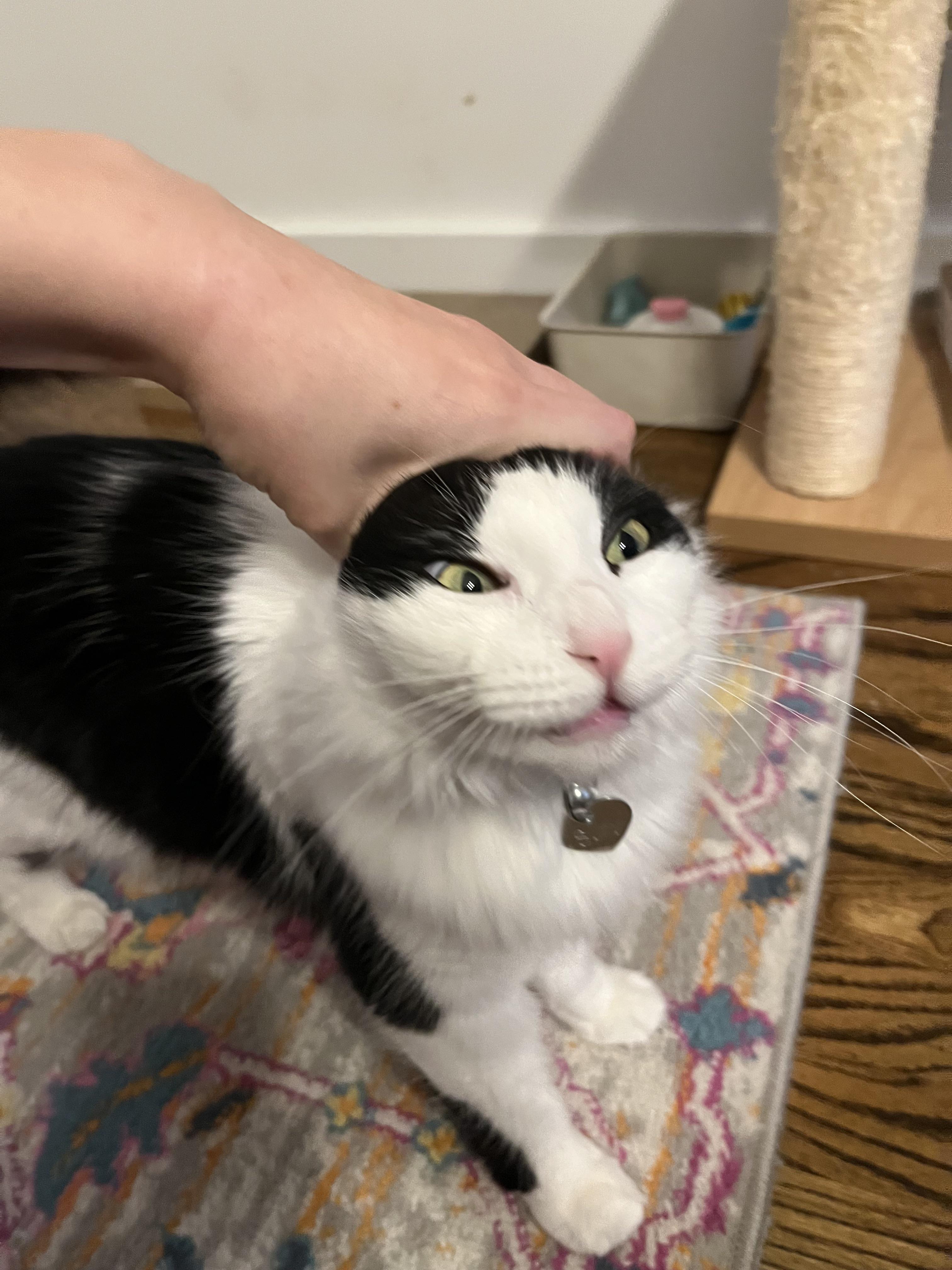 Mouth open stremtch | Scrolller