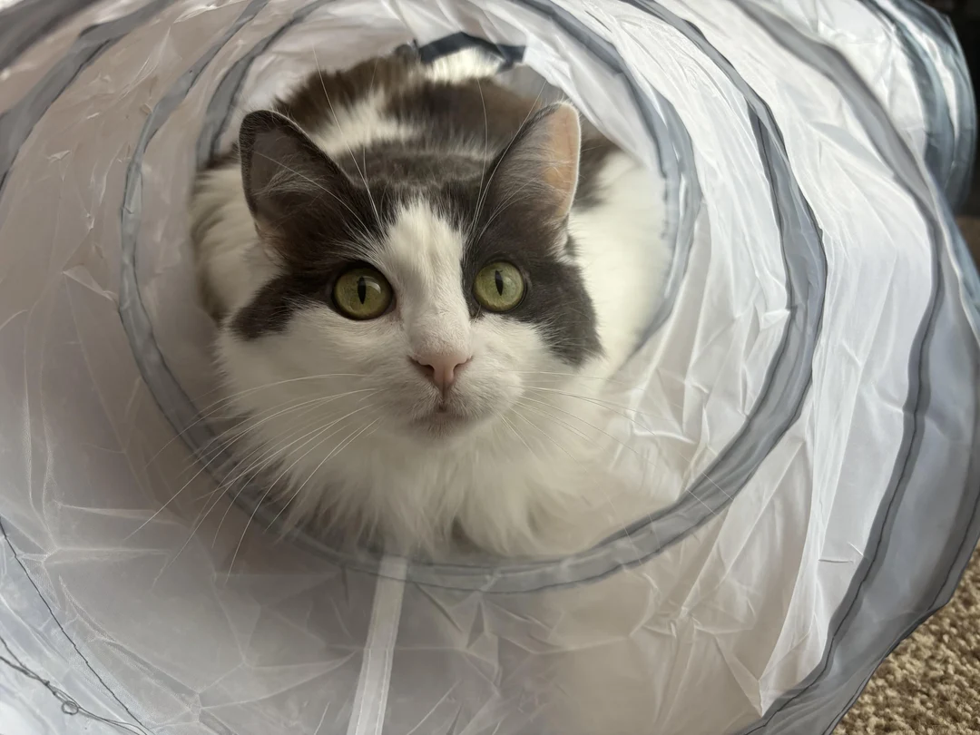 Tubed loaf | Scrolller