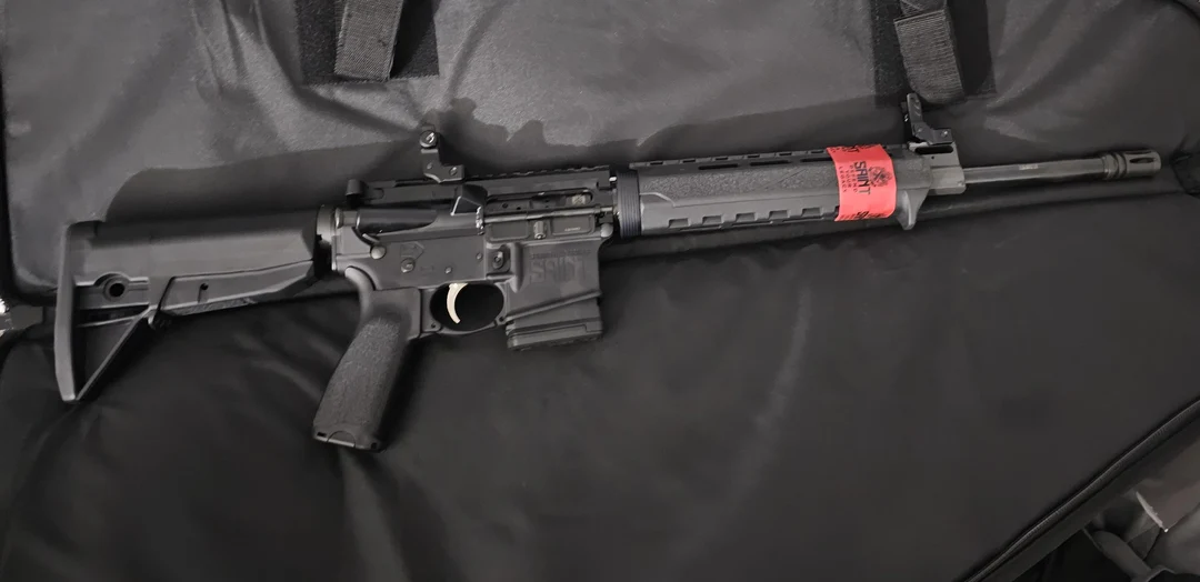 Springfield Saint | Scrolller