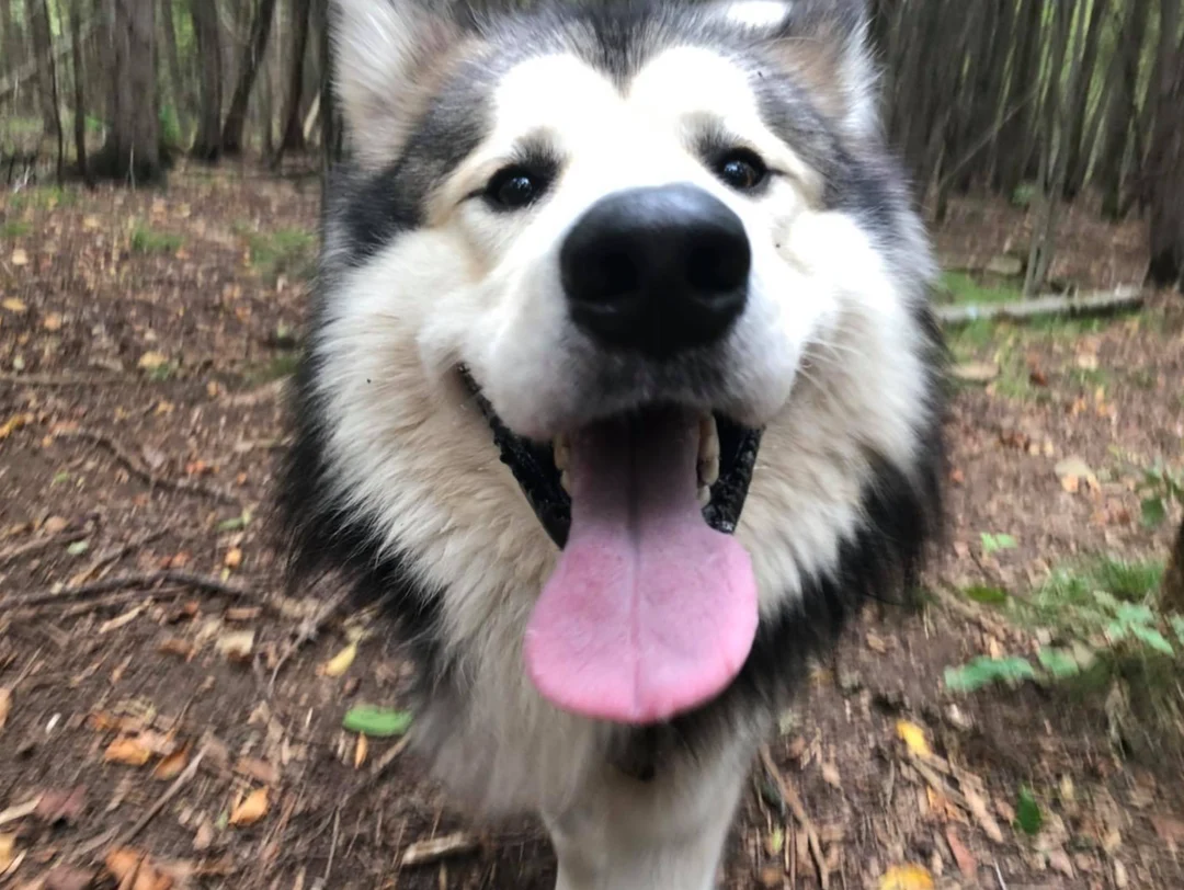 Smiley face 🥰 | Scrolller