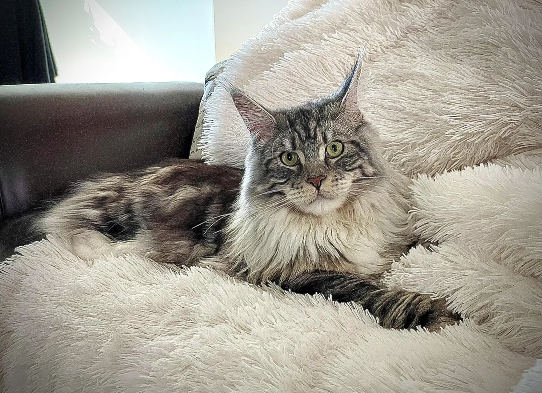 Impromptu photo shoot | Scrolller