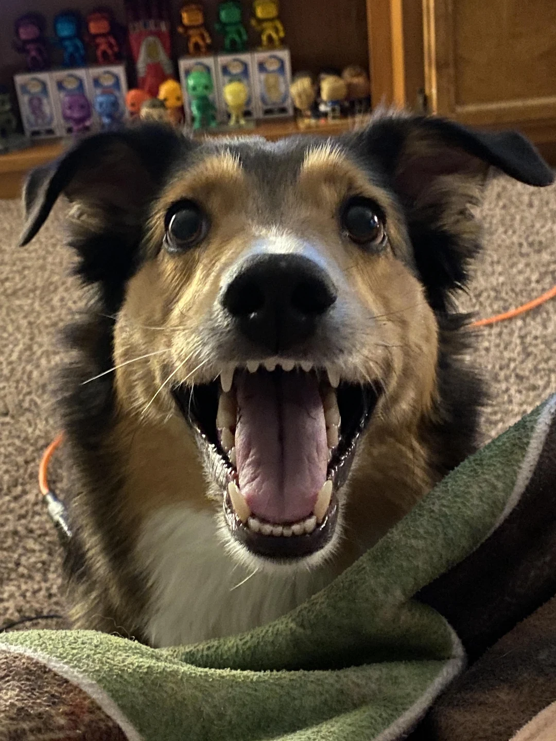 Evalyn is ready for her dentist appointment | Scrolller