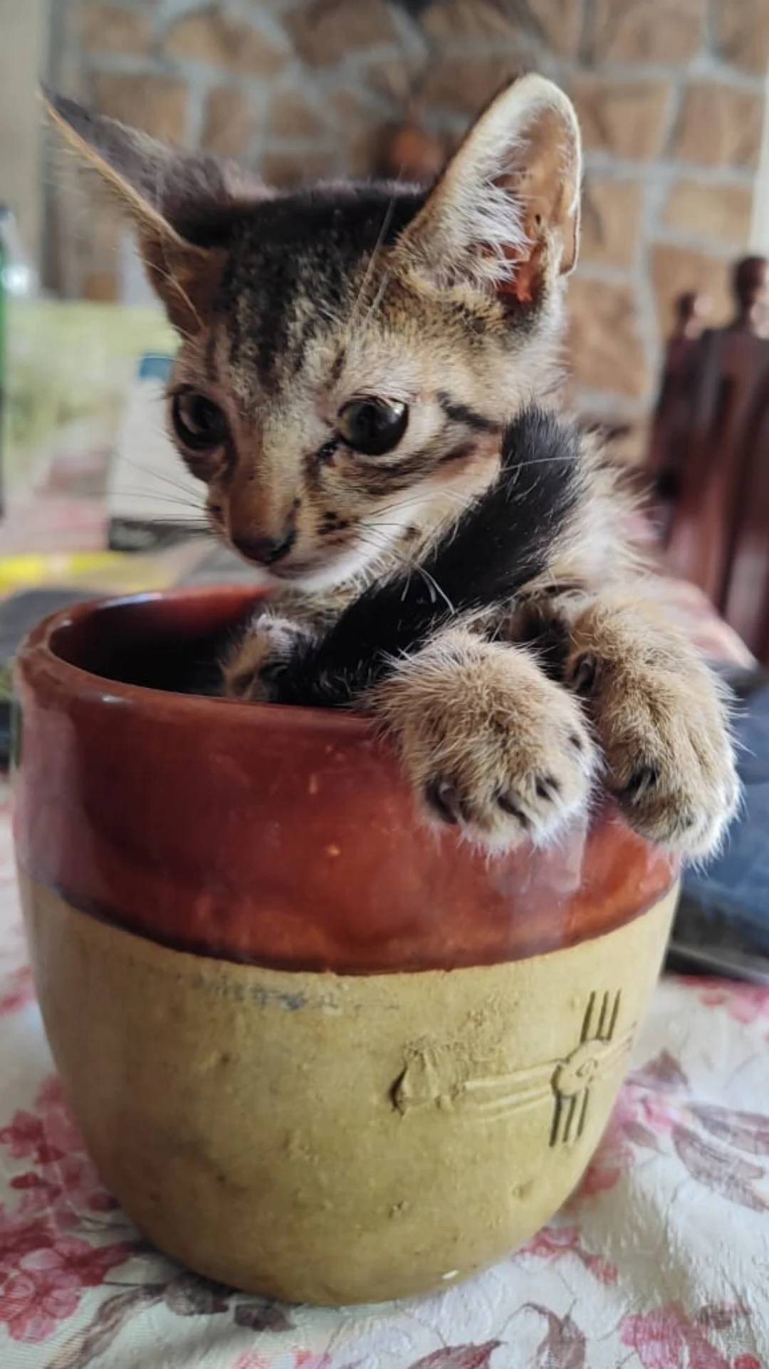 Help! my tea is strange | Scrolller