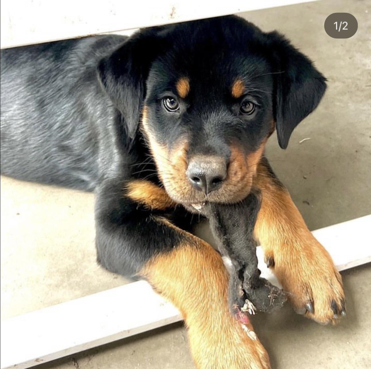 Is This Normal? | Scrolller