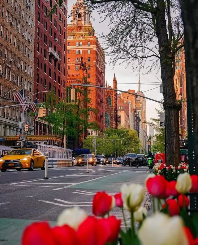 Manhattan, New York | Scrolller