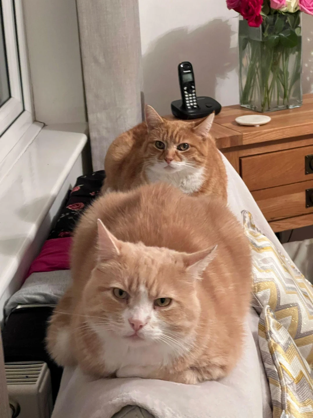 Double Ginger Loaf | Scrolller