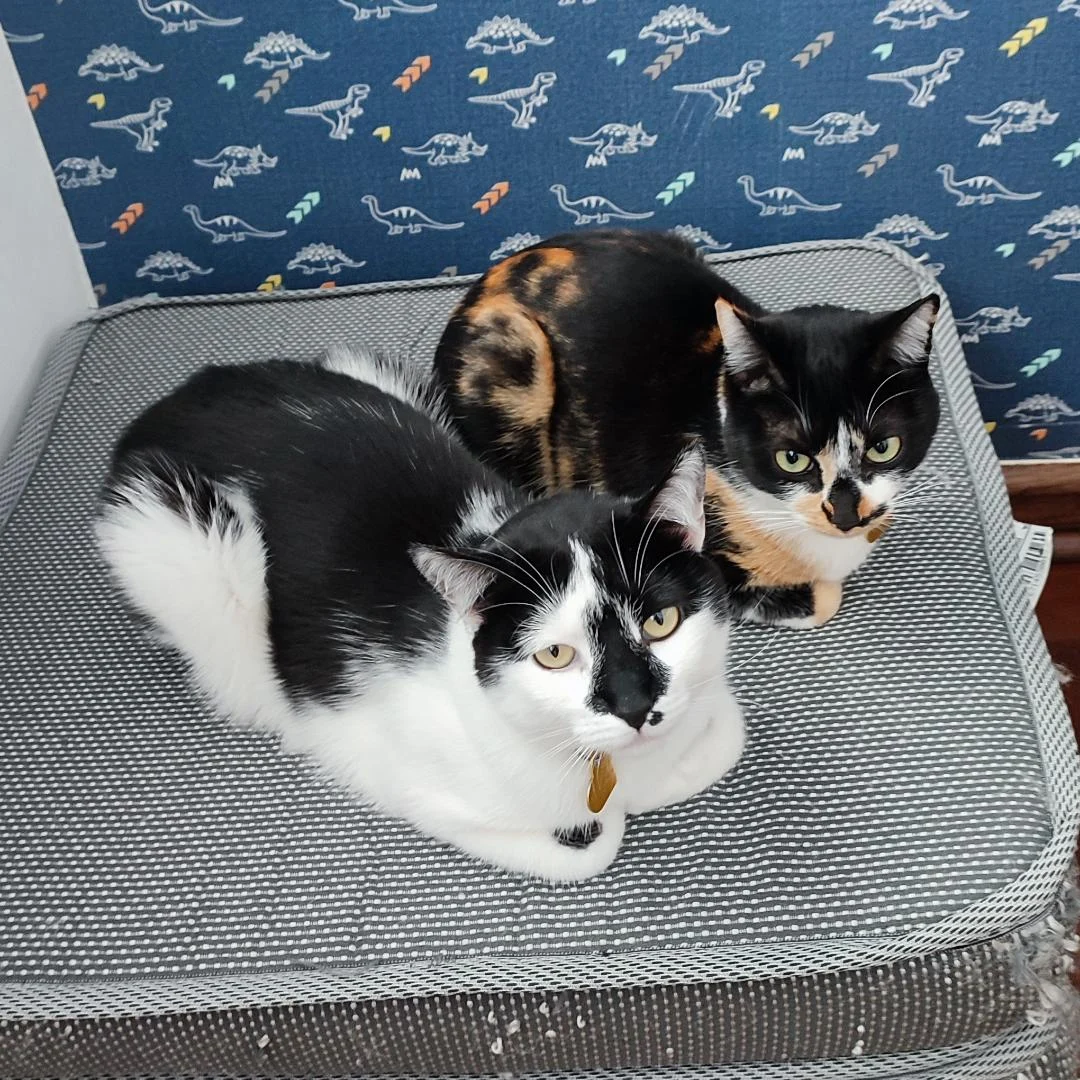 A rare event here at home: Double Loaf! | Scrolller