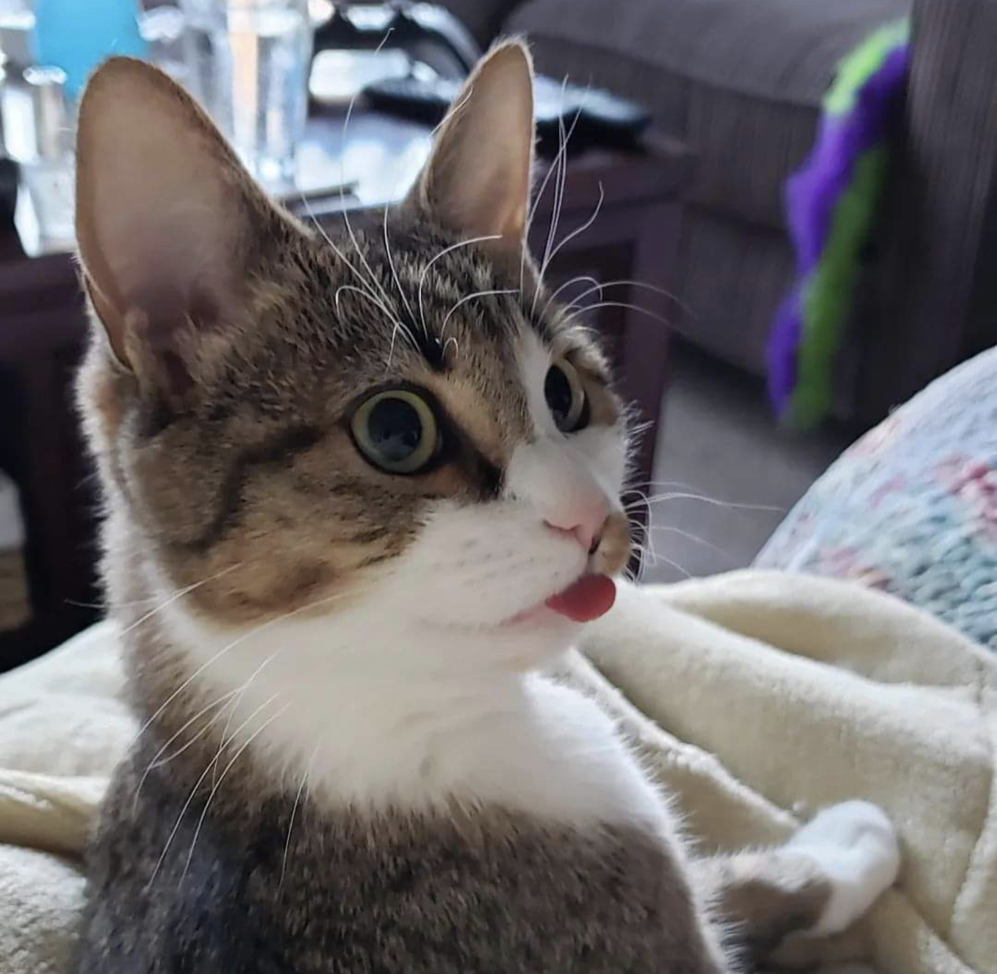 Ellie is the Queen of bleps 👑 | Scrolller