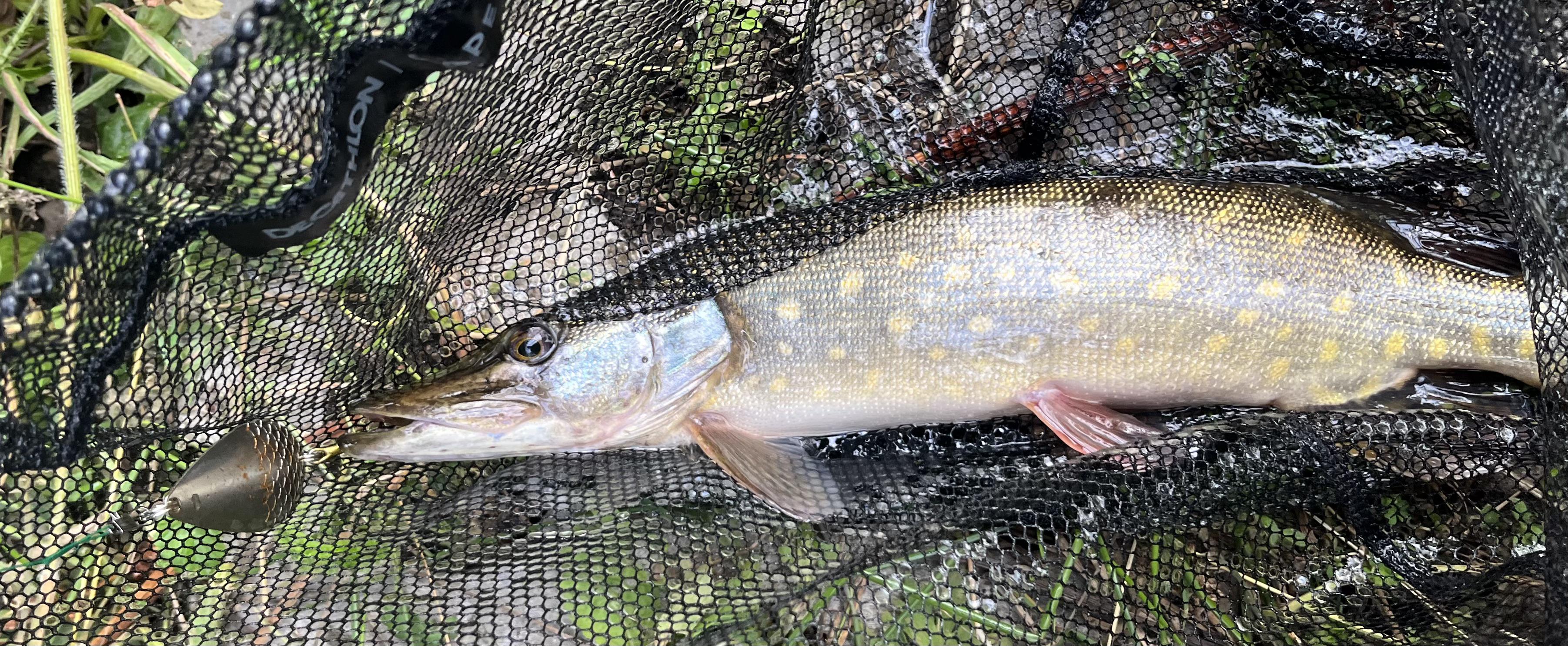 Discover more like Fishing: First Pike! and Related Content | Scrolller