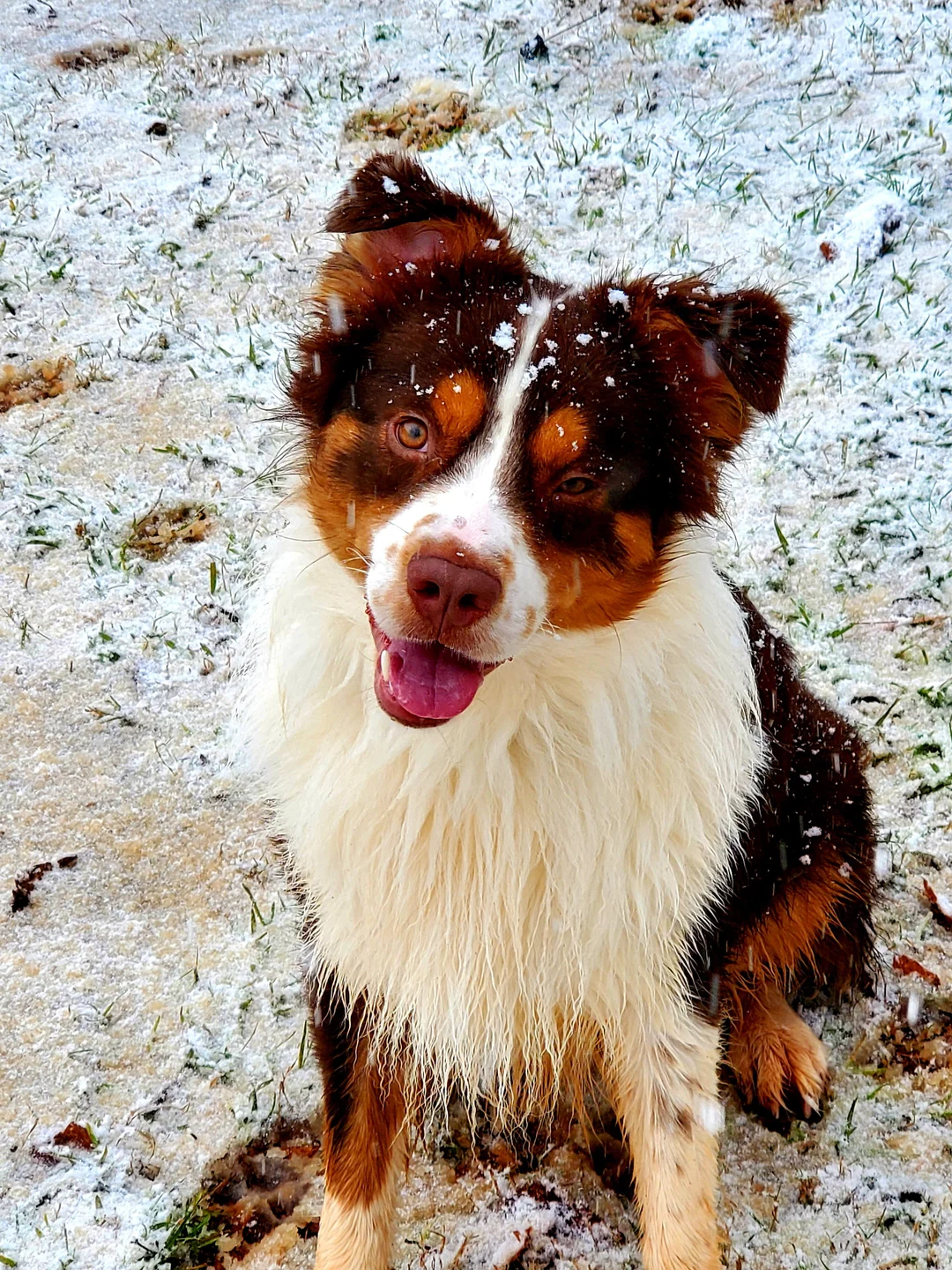 Snow day in GA. | Scrolller