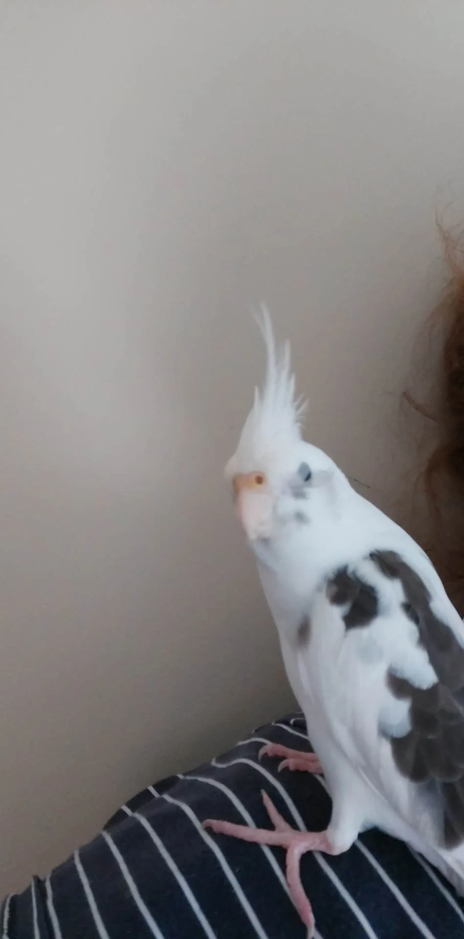 Caught her mid-blink. She looks so derpy 🥰 | Scrolller