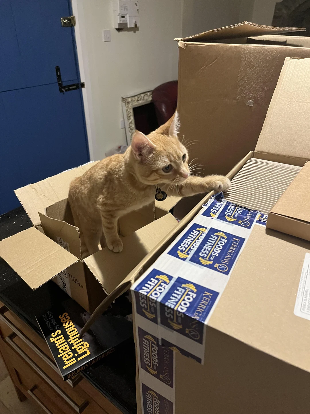 So many boxes! | Scrolller