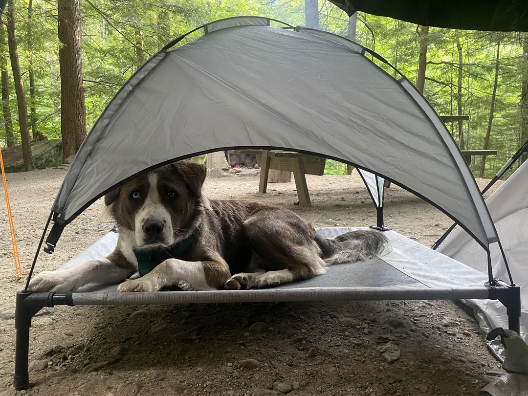 Kirk staying dry at the campsite in his own tent. | Scrolller