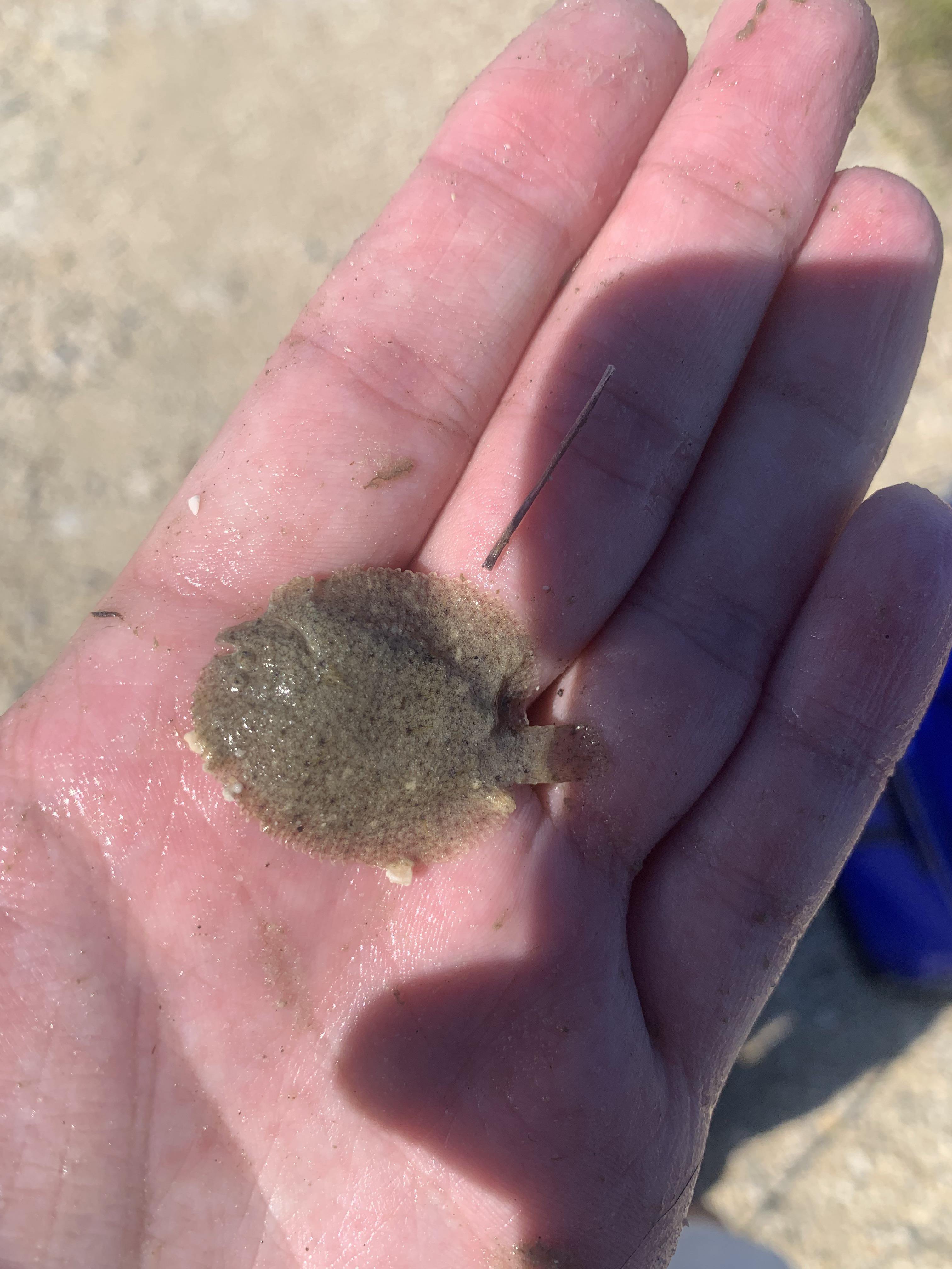 My biggest founder of the year (sadly it’s true). Caught in a cast net . | Scrolller