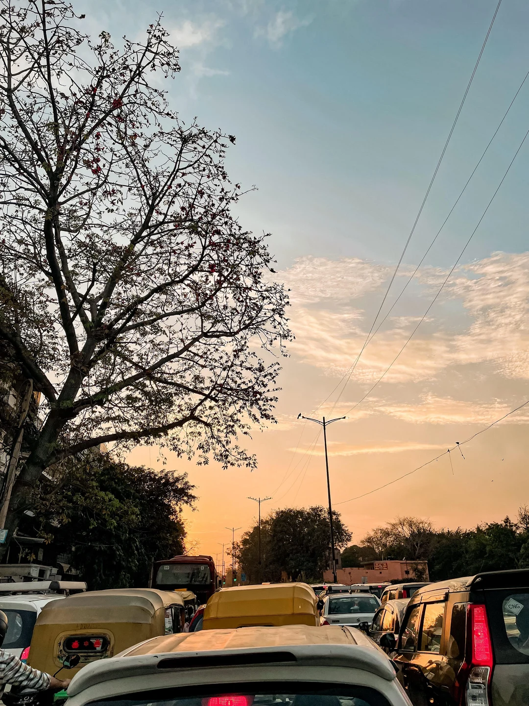 Traffic posting | Scrolller