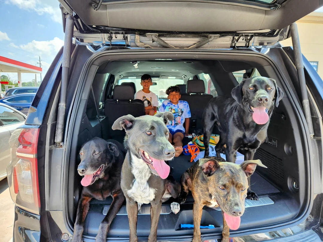 Meet the crew | Scrolller