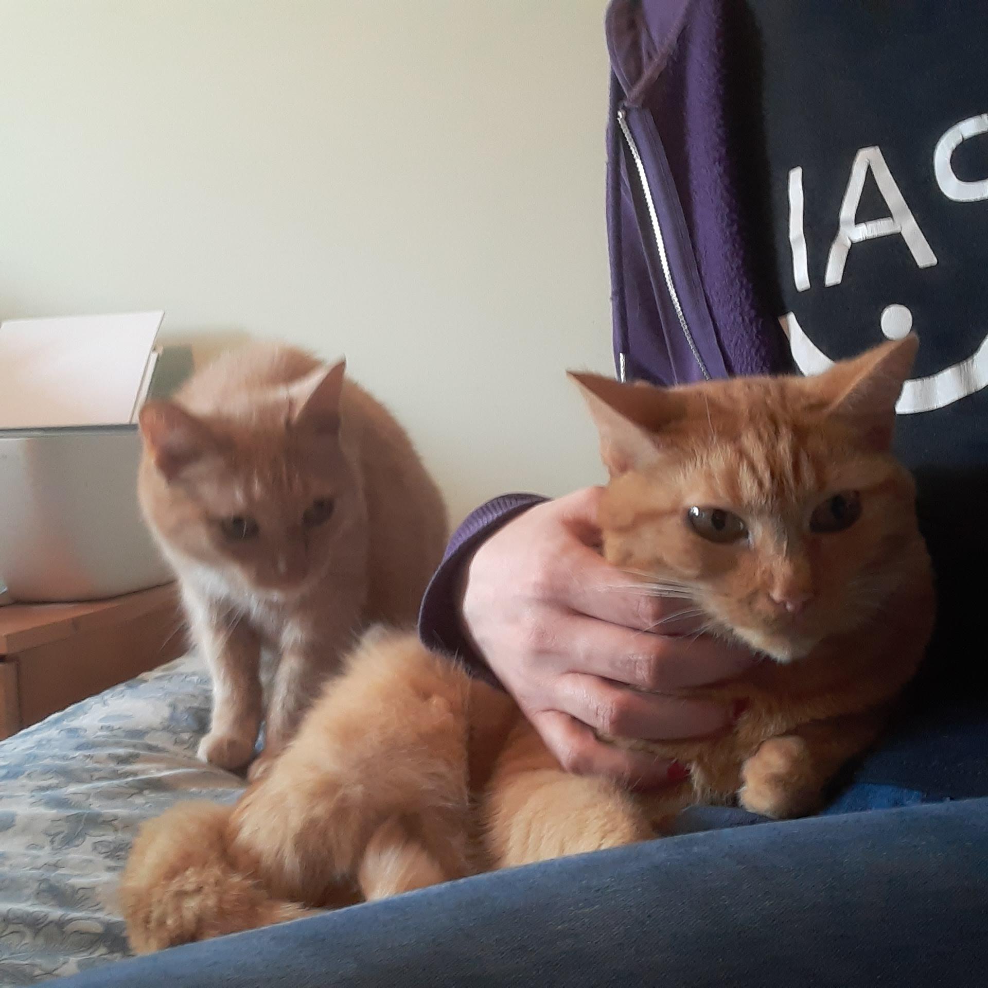 Plotting his next attack | Scrolller