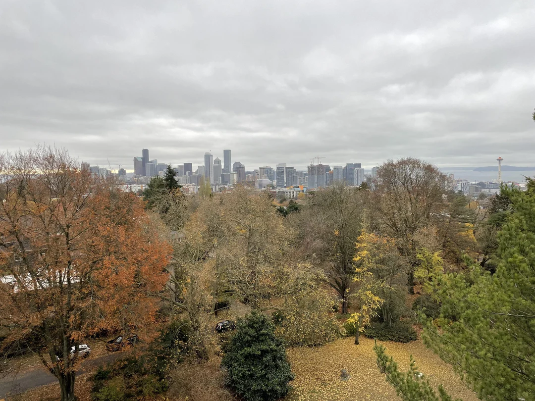 Seattle on a beautifully gray day [OC] | Scrolller
