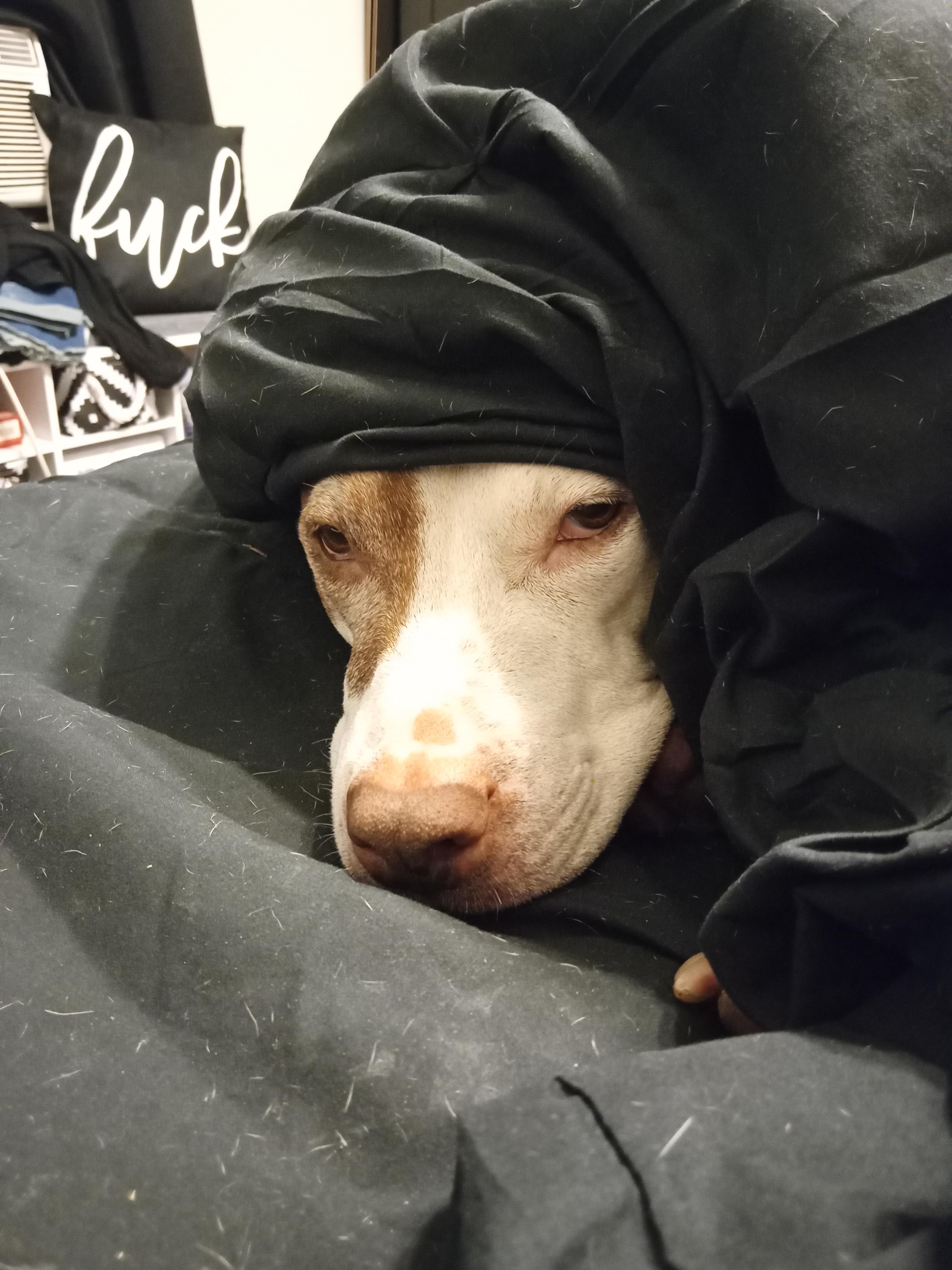 Sleepyhead 💕 | Scrolller