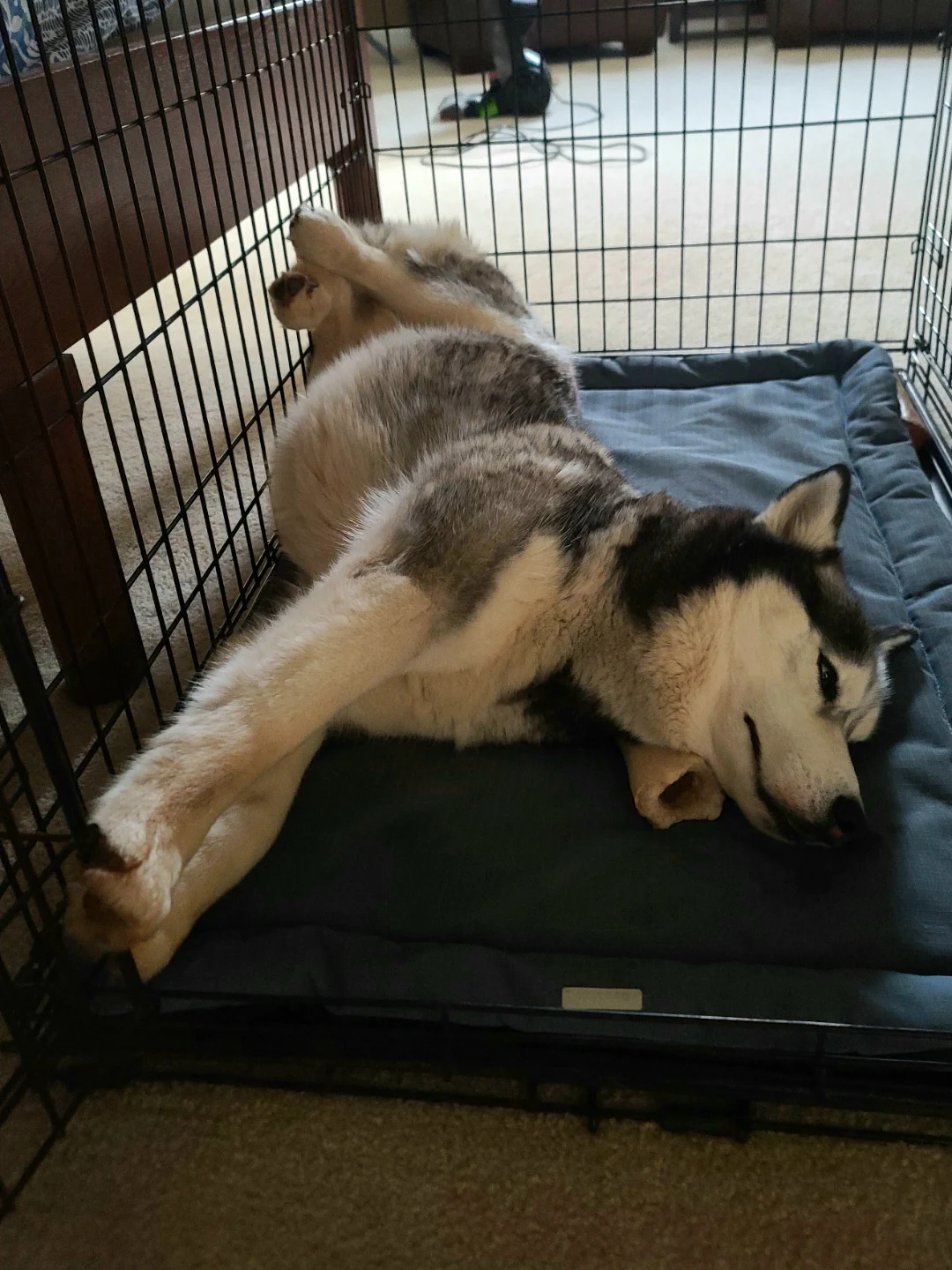 How can that be comfortable? | Scrolller