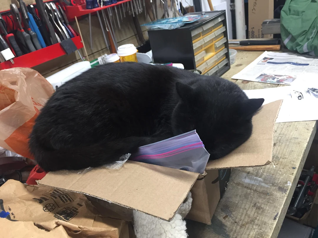 Box of Nuts, Bolts, & Screws Trap | Scrolller