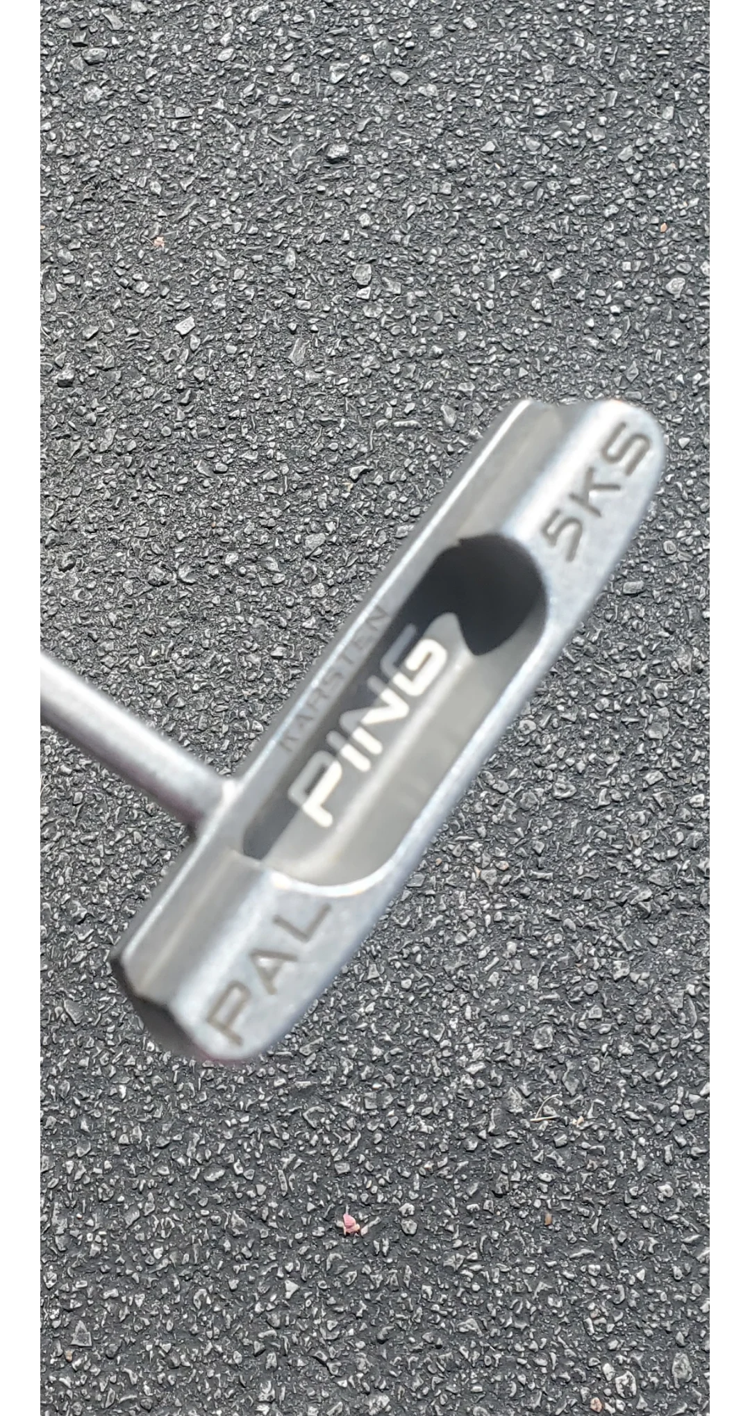 Mom and Dad bought dude a birthday putter, so I got a new putter to | Scrolller