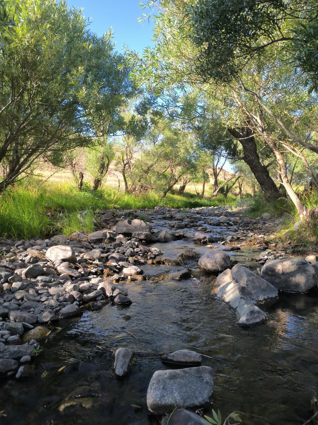 Spring is coming | Scrolller