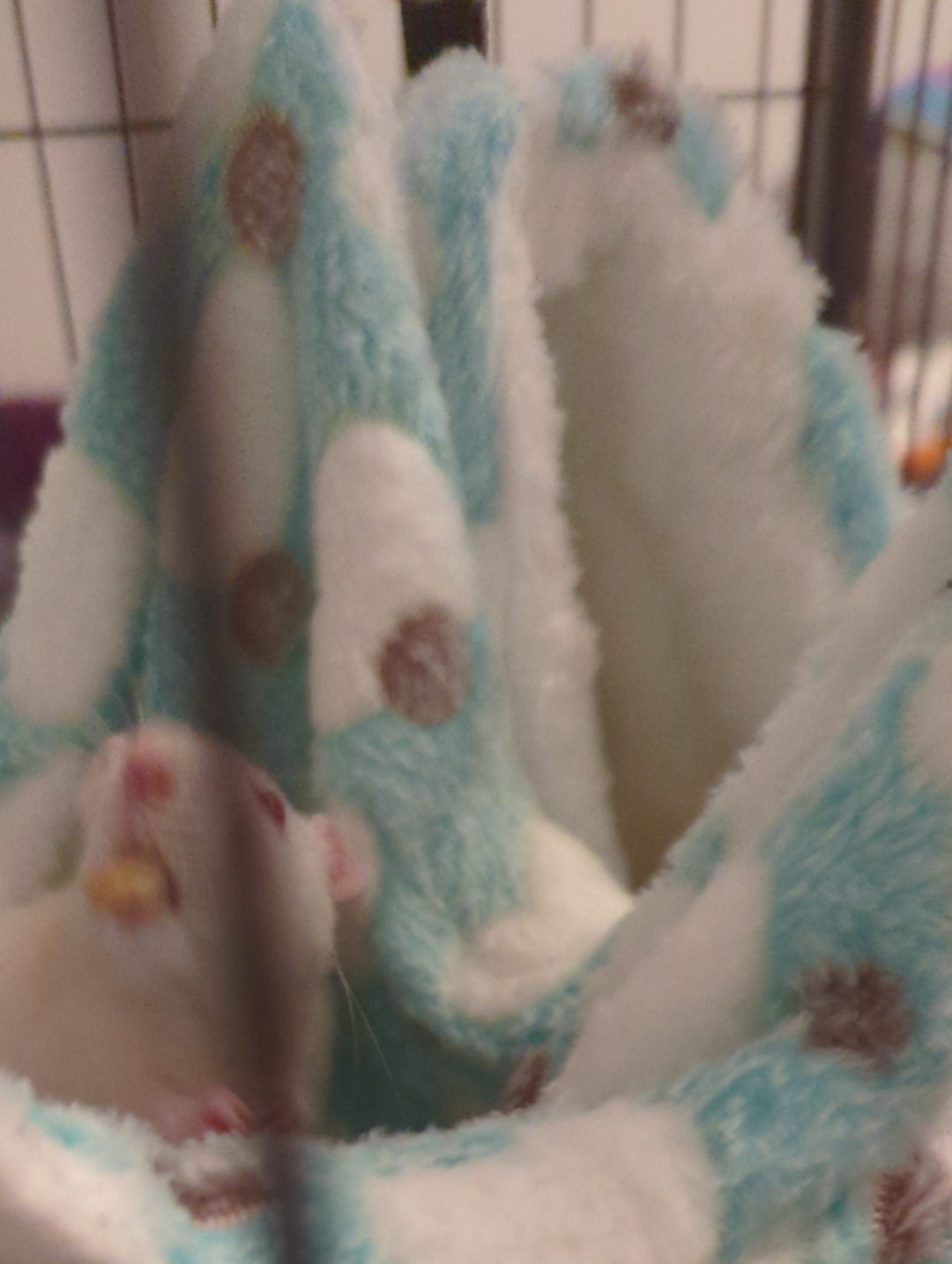 Cheerio thief | Scrolller