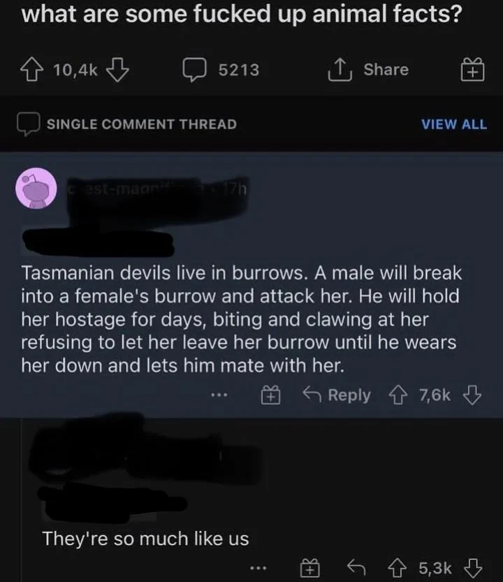 Cursed_similarity | Scrolller