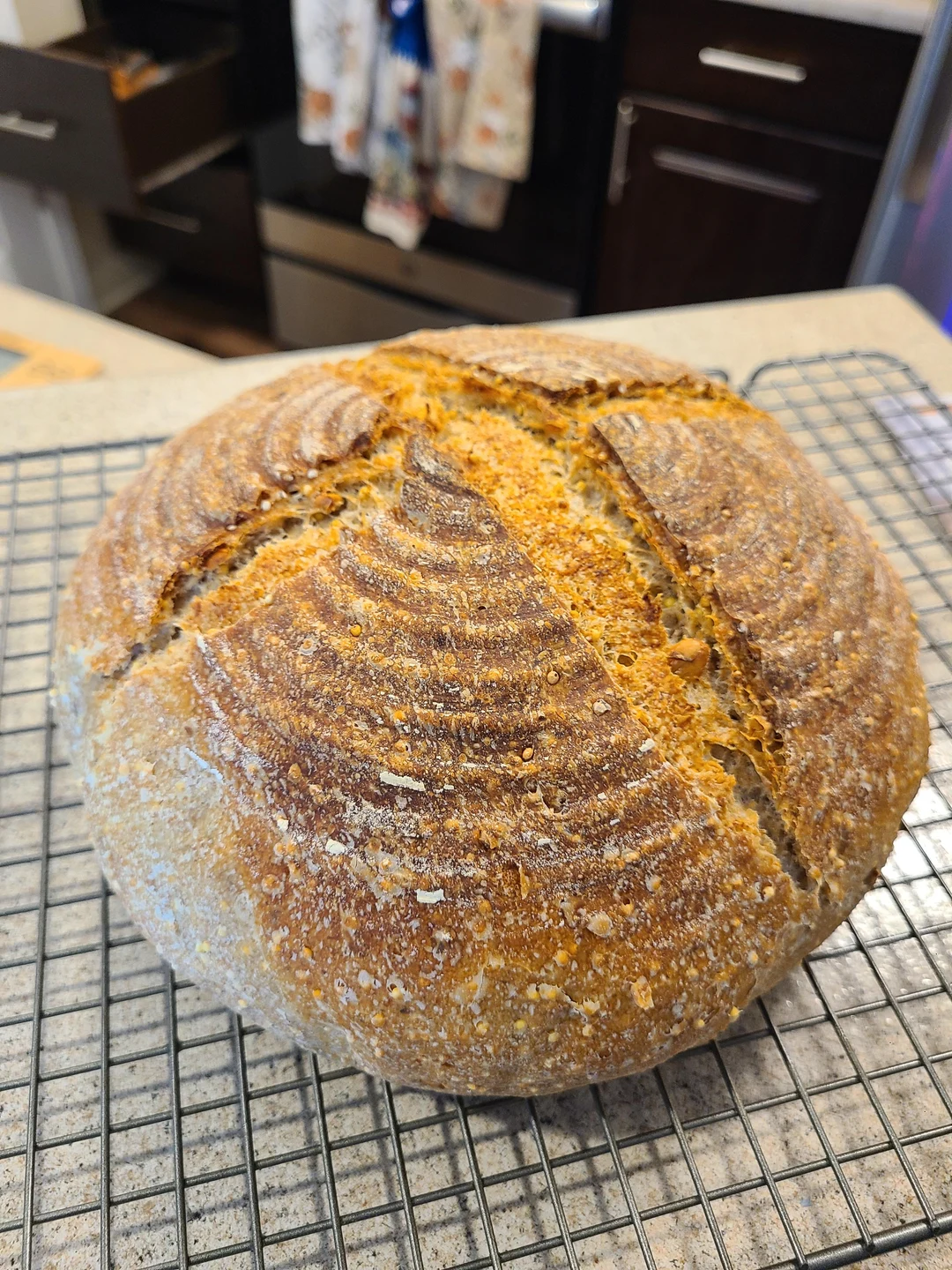 Finally made a decent sourdough! | Scrolller