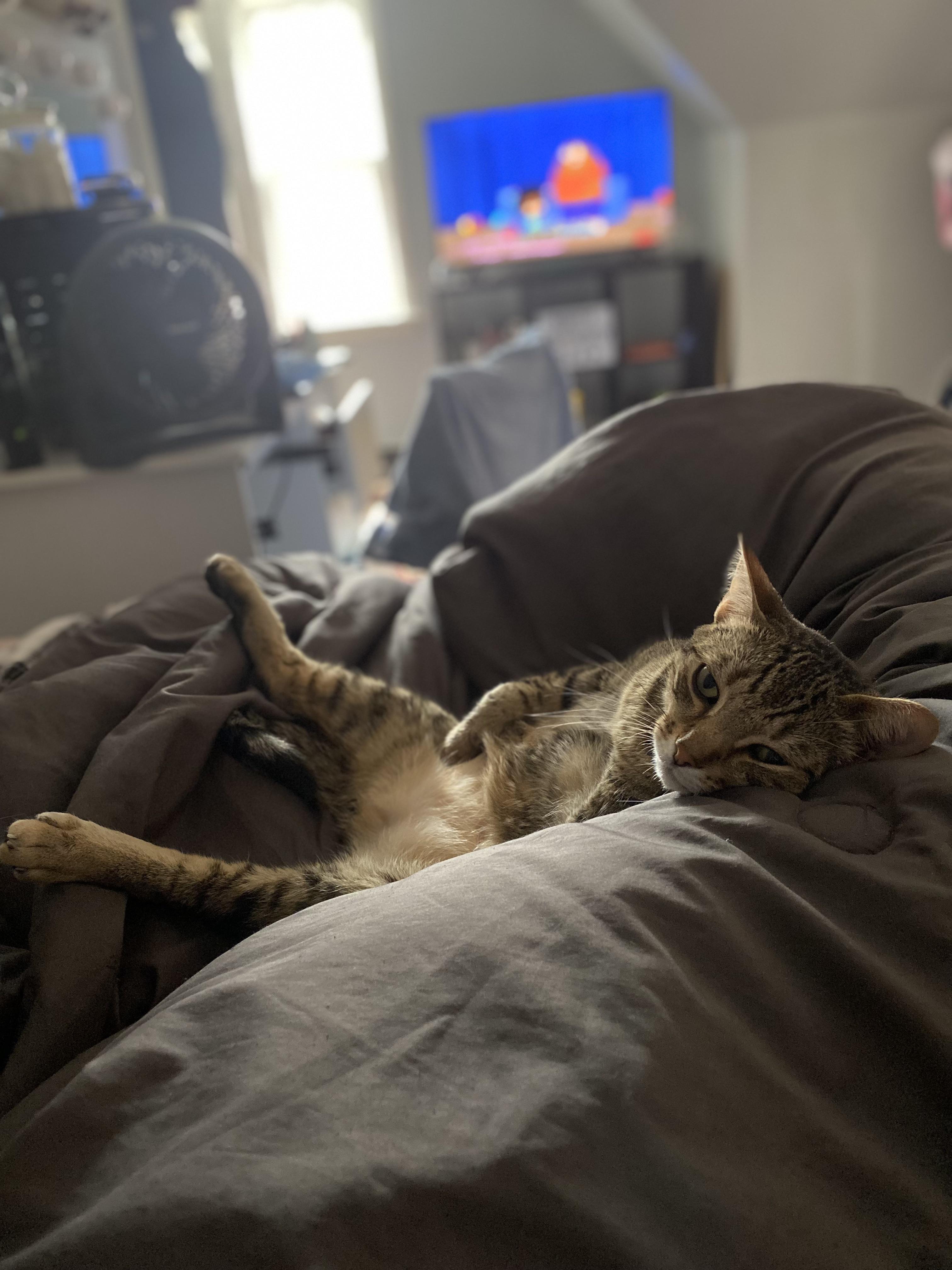 Teddy is my l weirdo ^.^ | Scrolller