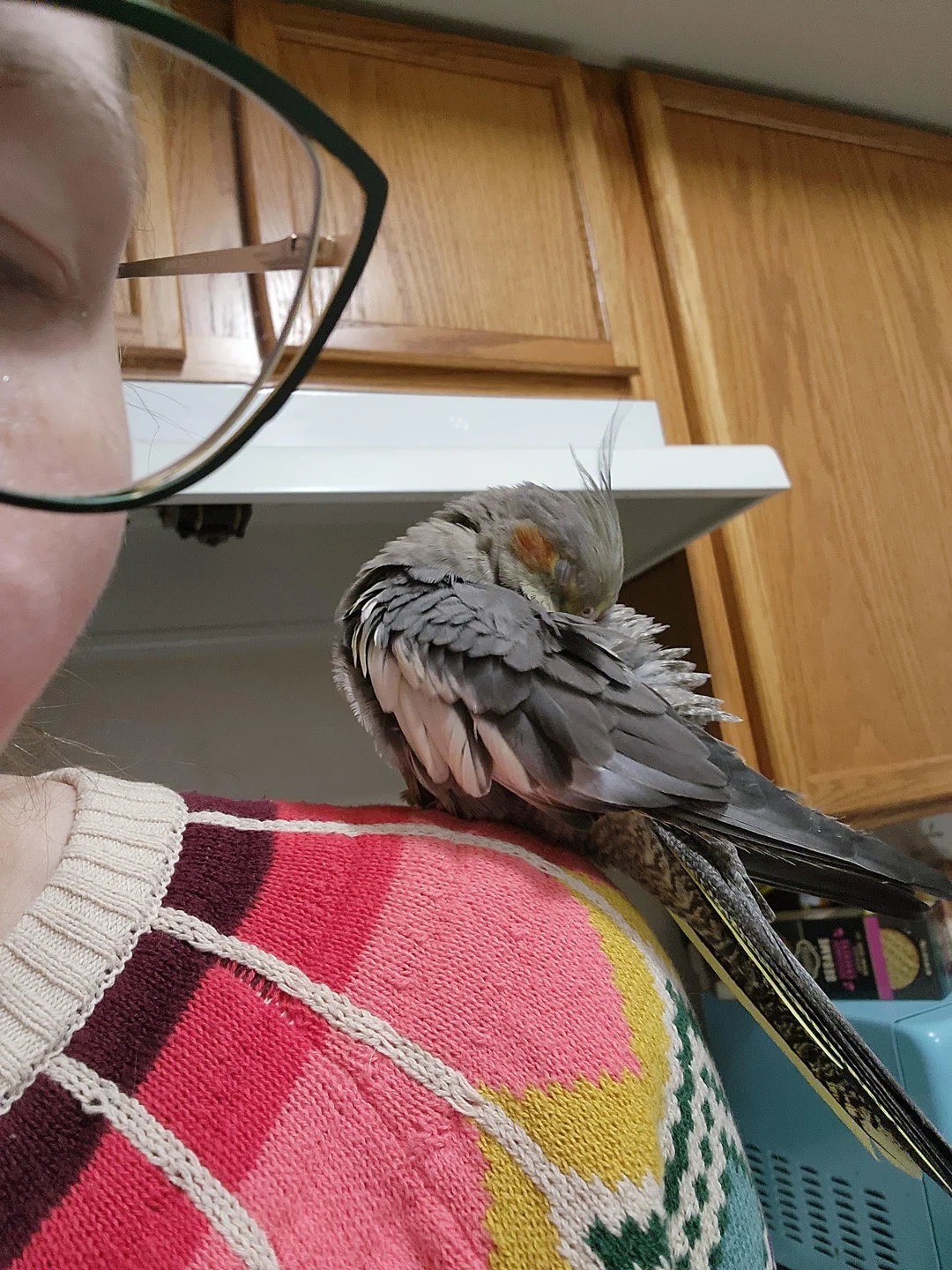 Caught her preening at the perfect moment | Scrolller