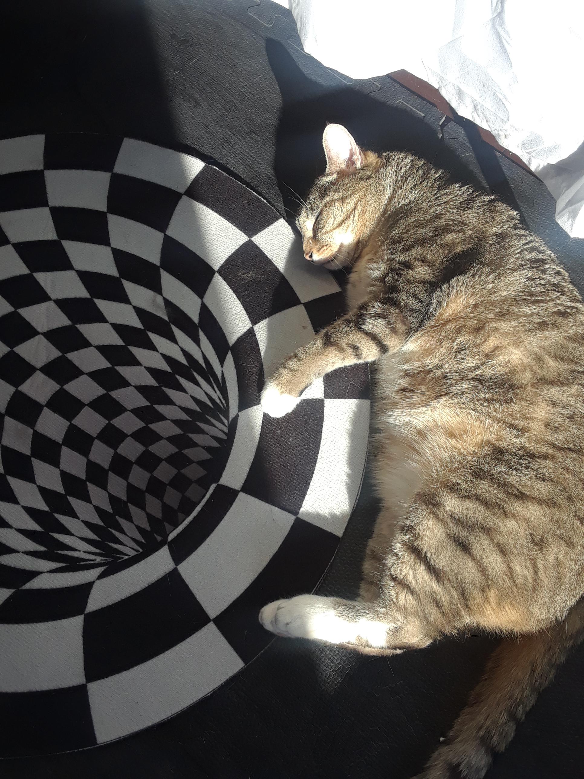Archibald fell asleep attacking the vortex. | Scrolller